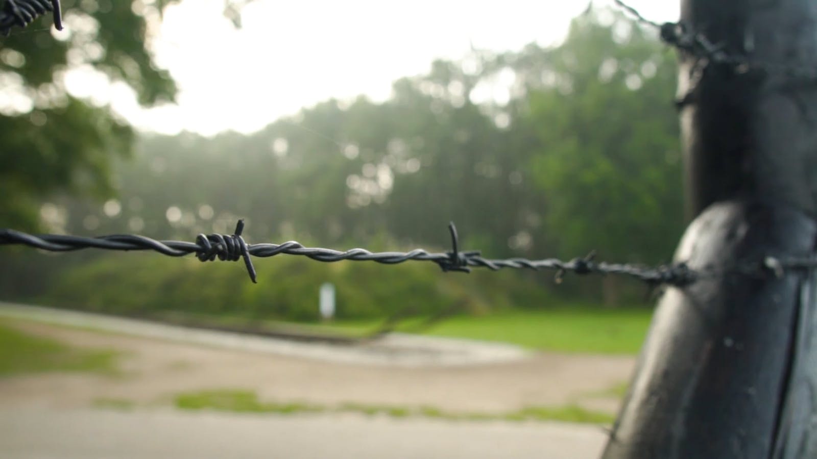Barbed Wire Videos, Download The BEST Free 4k Stock Video Footage ...