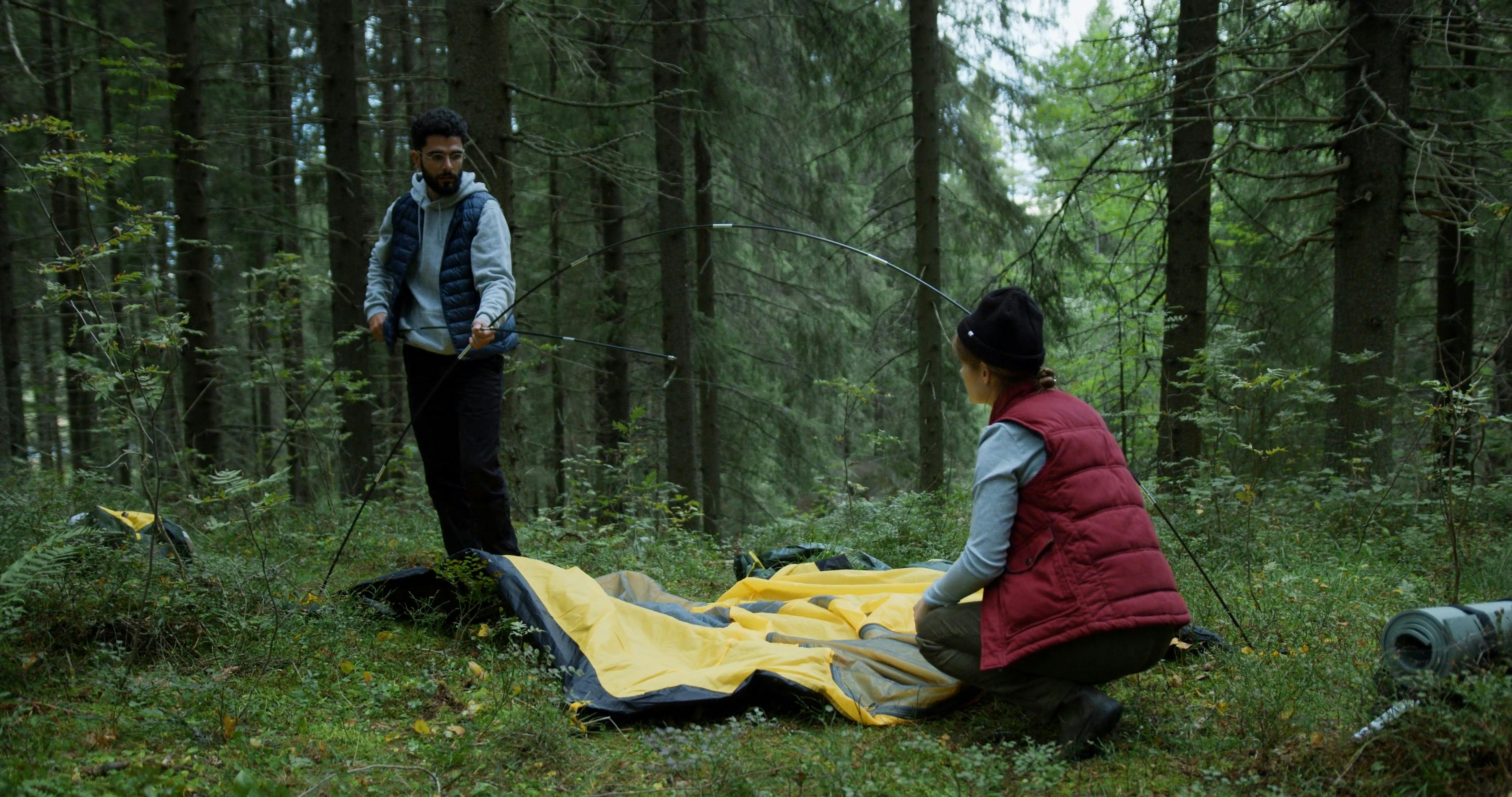 Forest Things Videos, Download The BEST Free 4k Stock Video Footage ...