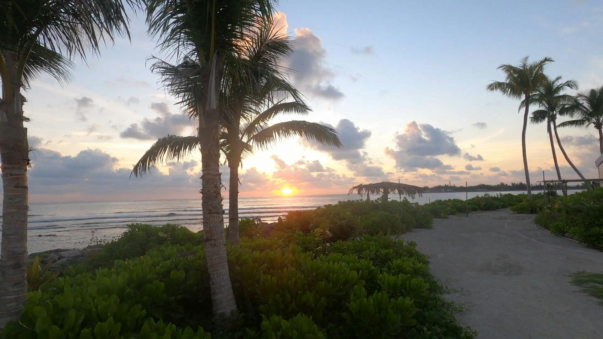 Beautiful View Of A Beach Free Stock Video Footage, Royalty-Free 4K ...