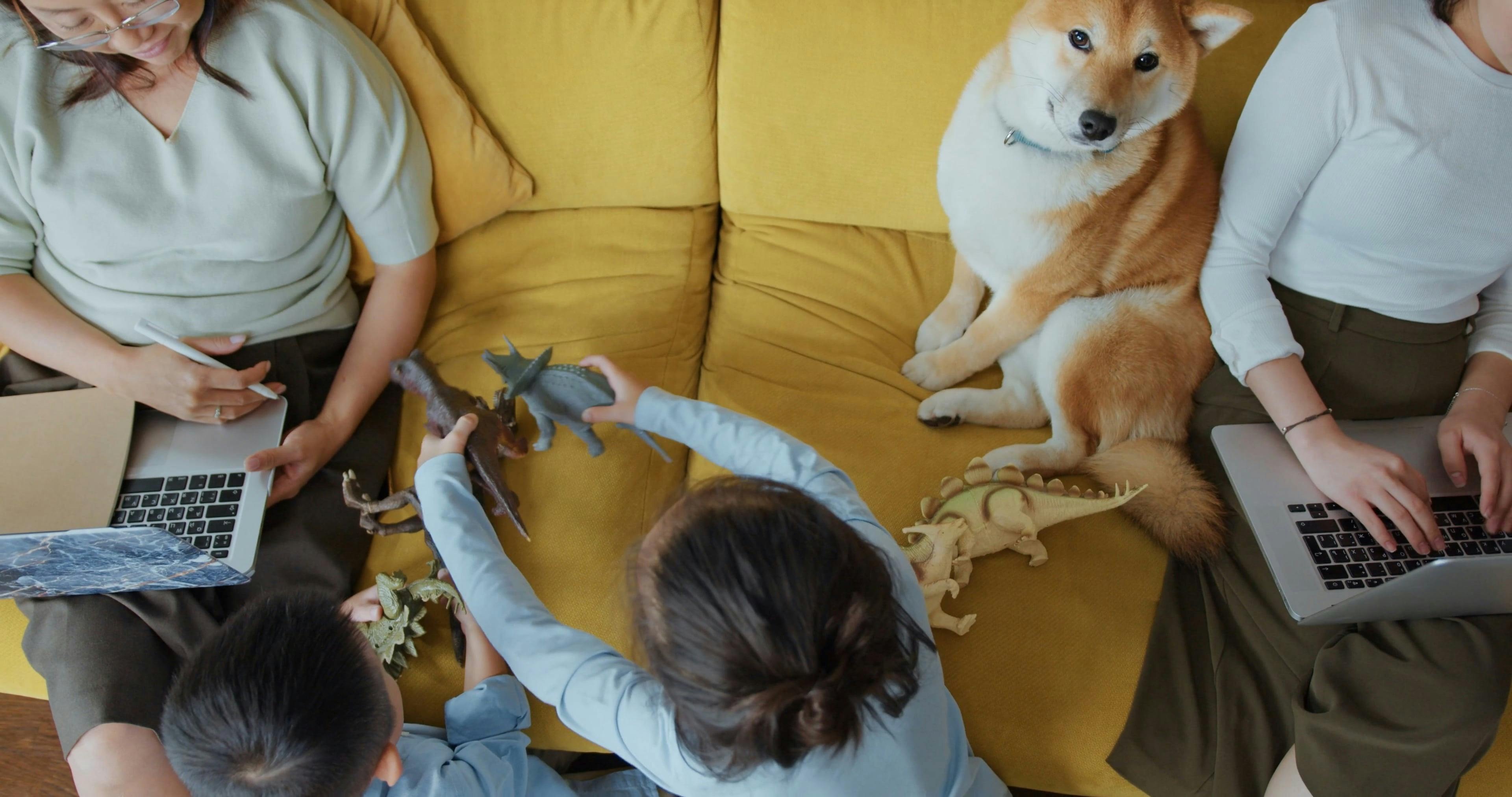 A Family Hanging Out In The Living Room · Free Stock Video