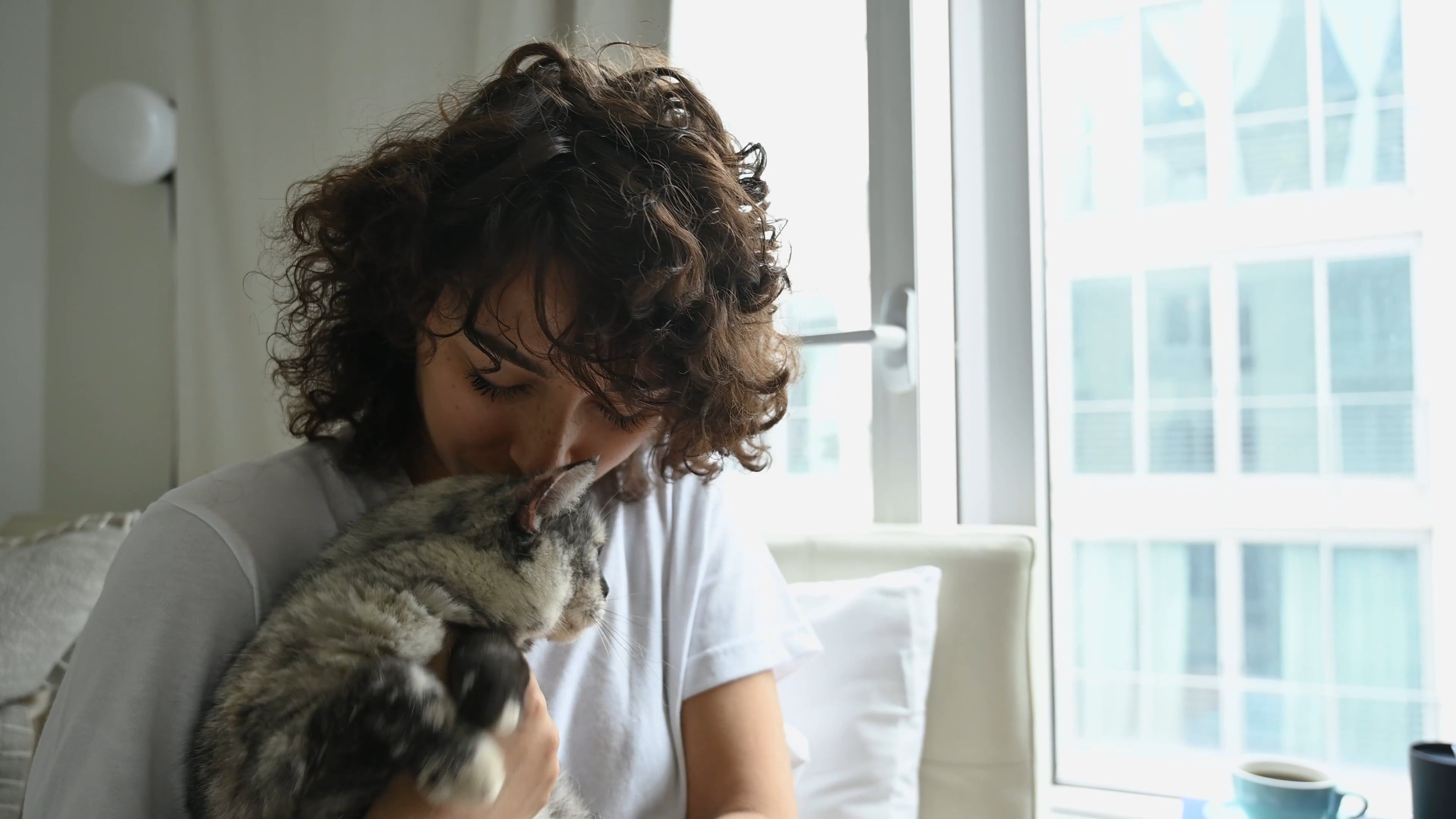 Woman Cuddling Her Cat Free Stock Video Footage, Royalty-Free 4K & HD ...