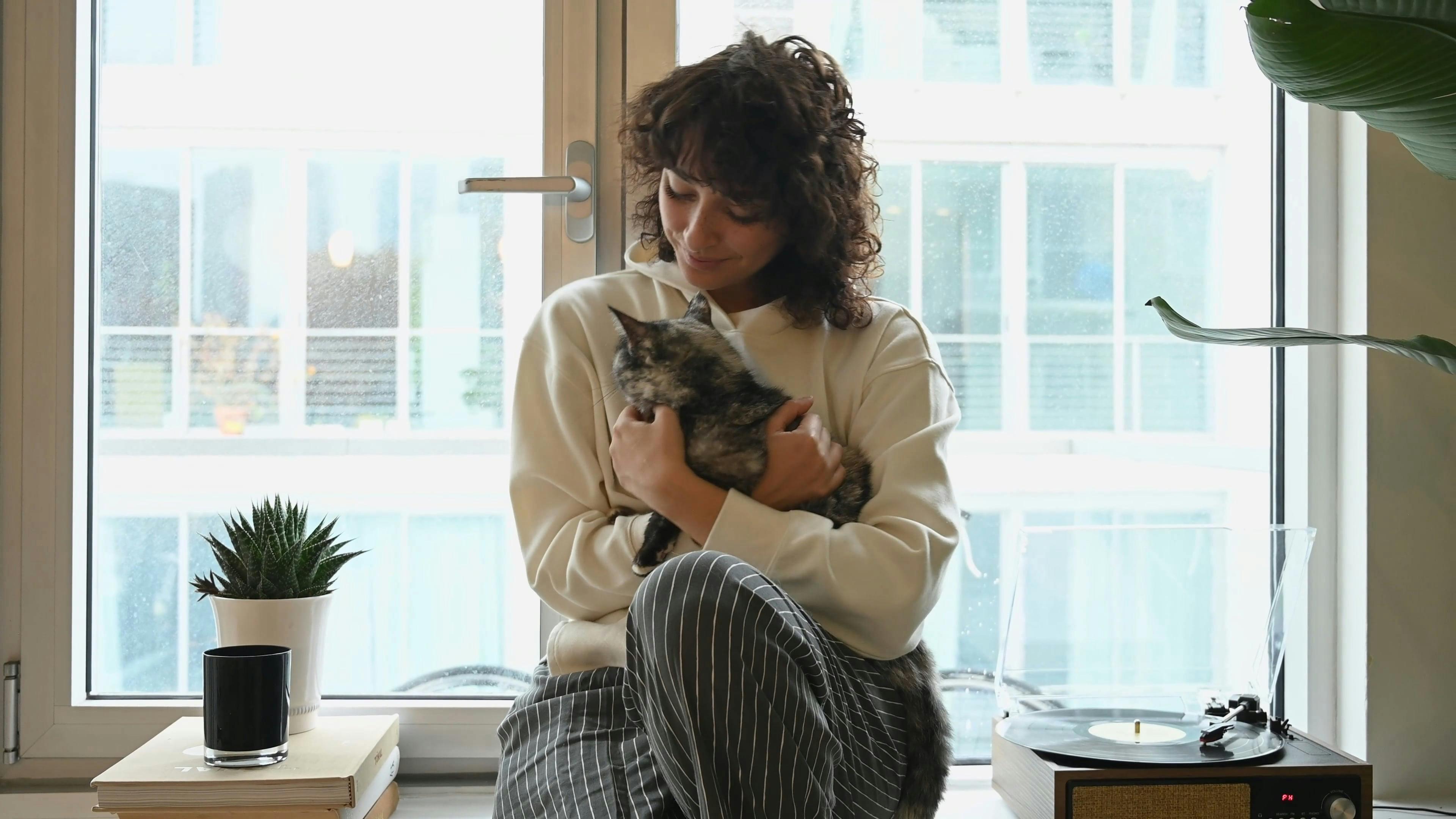 Hug Cactus Videos, Download The BEST Free 4k Stock Video Footage & Hug ...