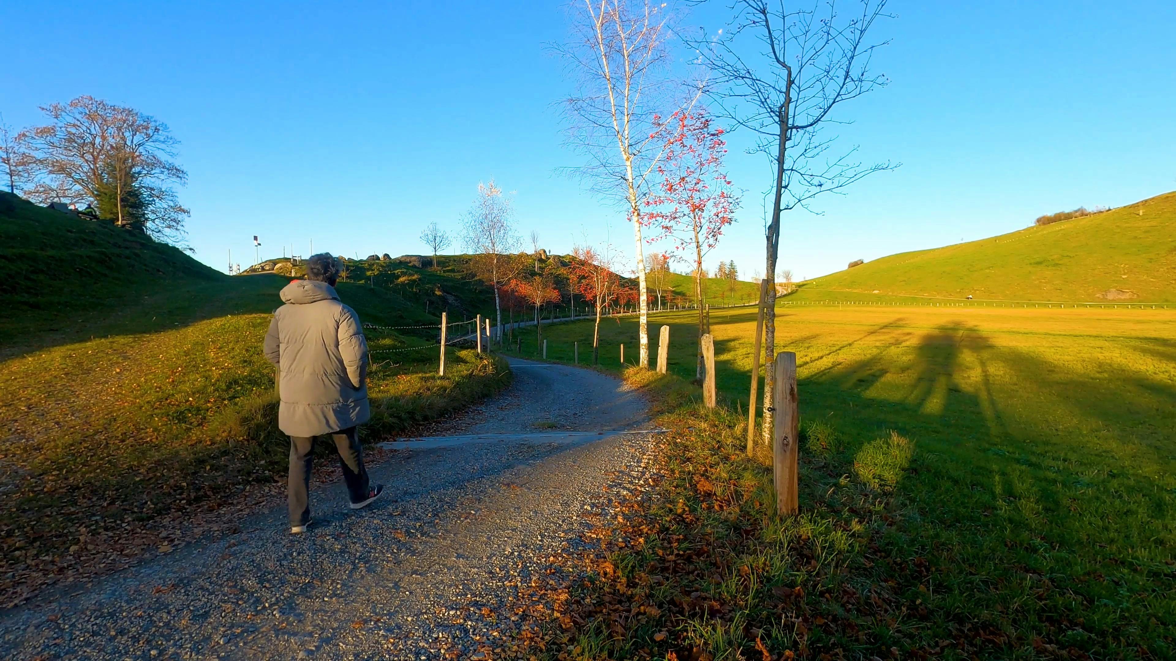 Dramatic Path Videos, Download The BEST Free 4k Stock Video Footage ...