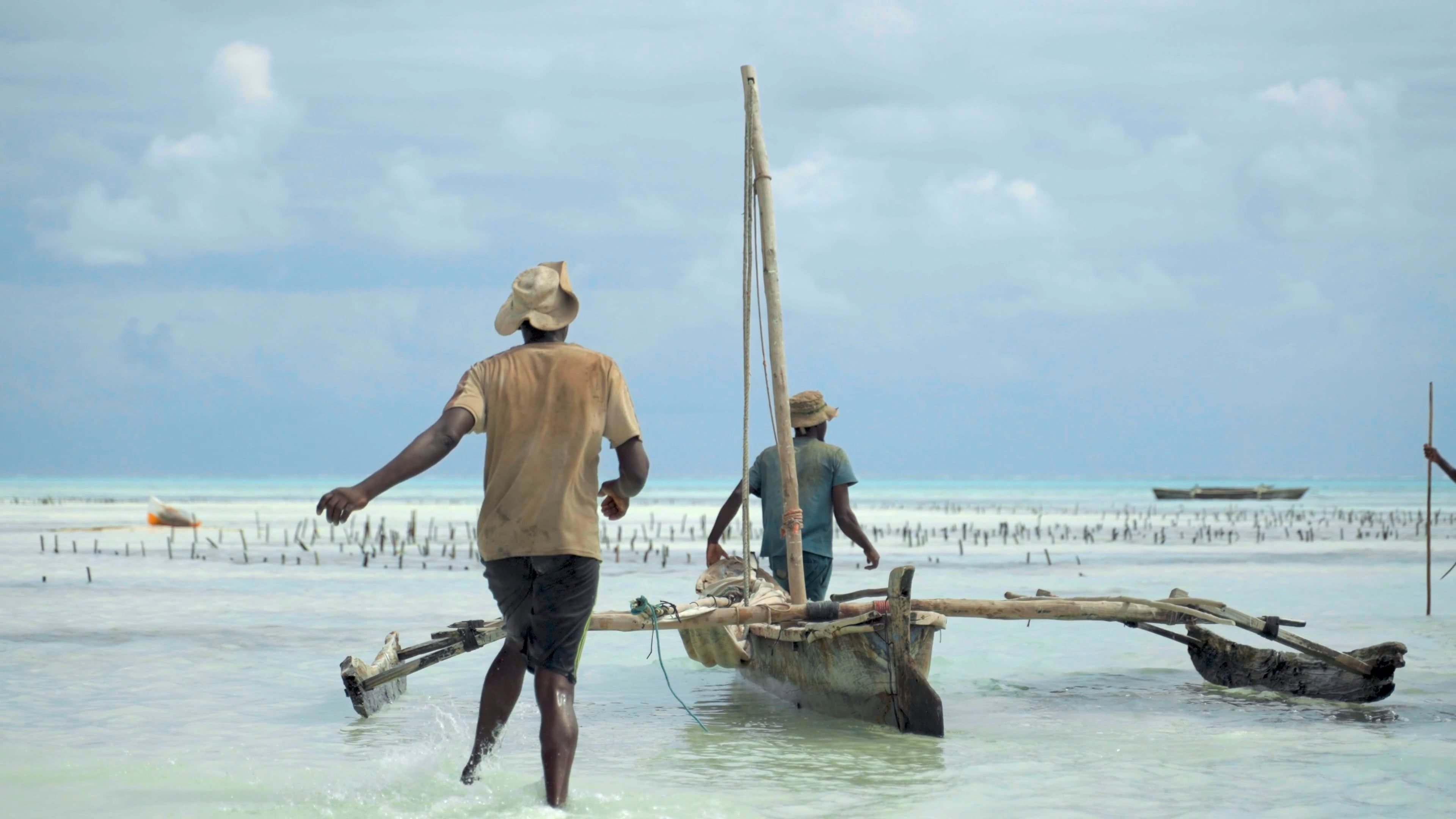 Man on an Island Free Stock Video Footage, Royalty-Free 4K & HD Video Clip