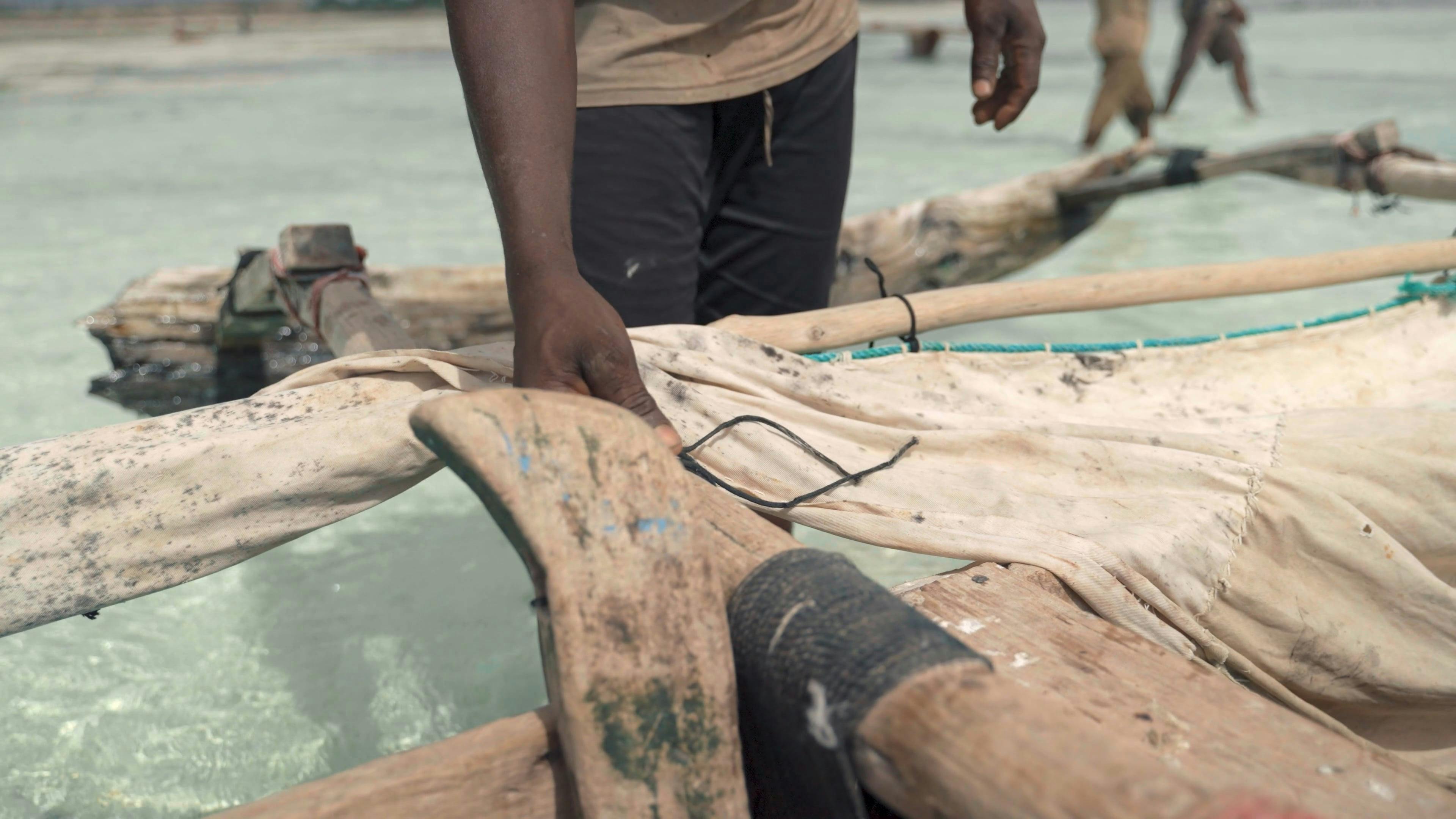 Man on an Island Free Stock Video Footage, Royalty-Free 4K & HD Video Clip