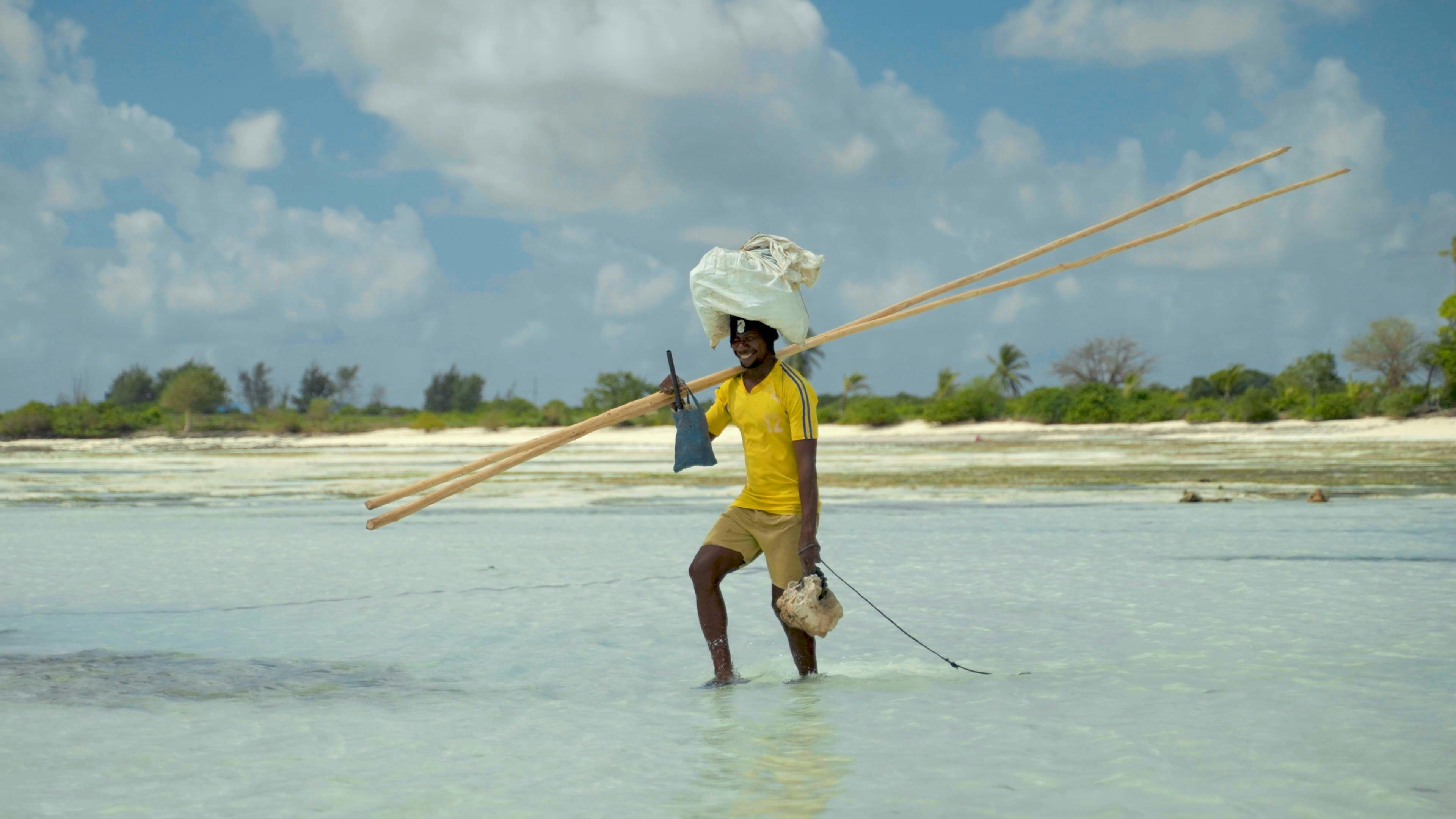 Task Poles Videos, Download The BEST Free 4k Stock Video Footage & Task ...