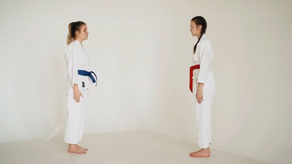 Karate Videos, Download Free 4k Stock Video Footage & Karate HD Video Clips