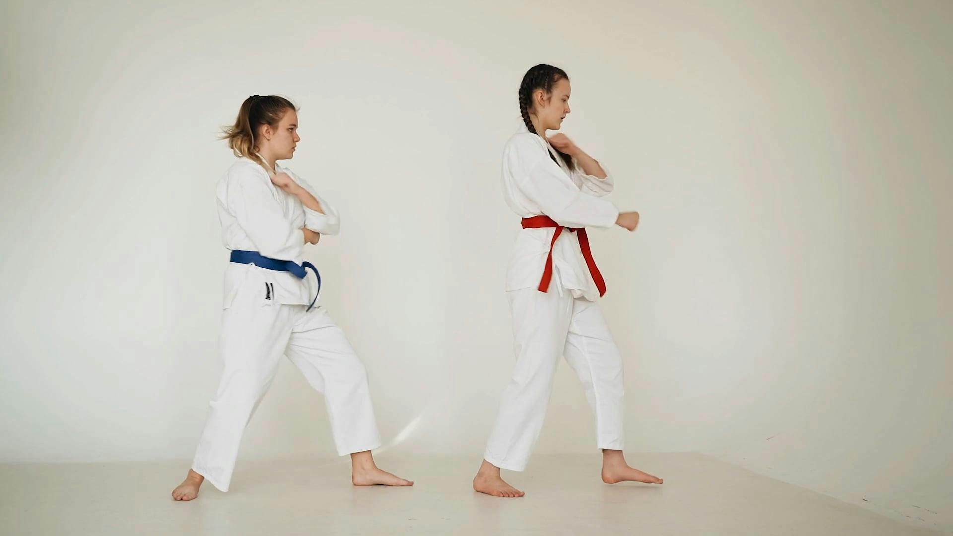 A Girl Having Karate Lessons Free Stock Video Footage, Royalty-Free 4K ...