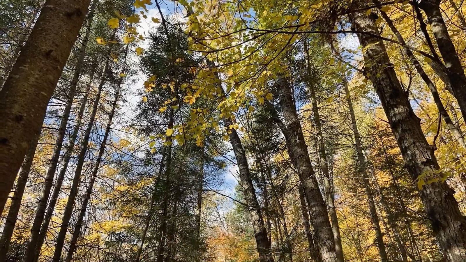 Long Nature Video Videos, Download The BEST Free 4k Stock Video Footage ...