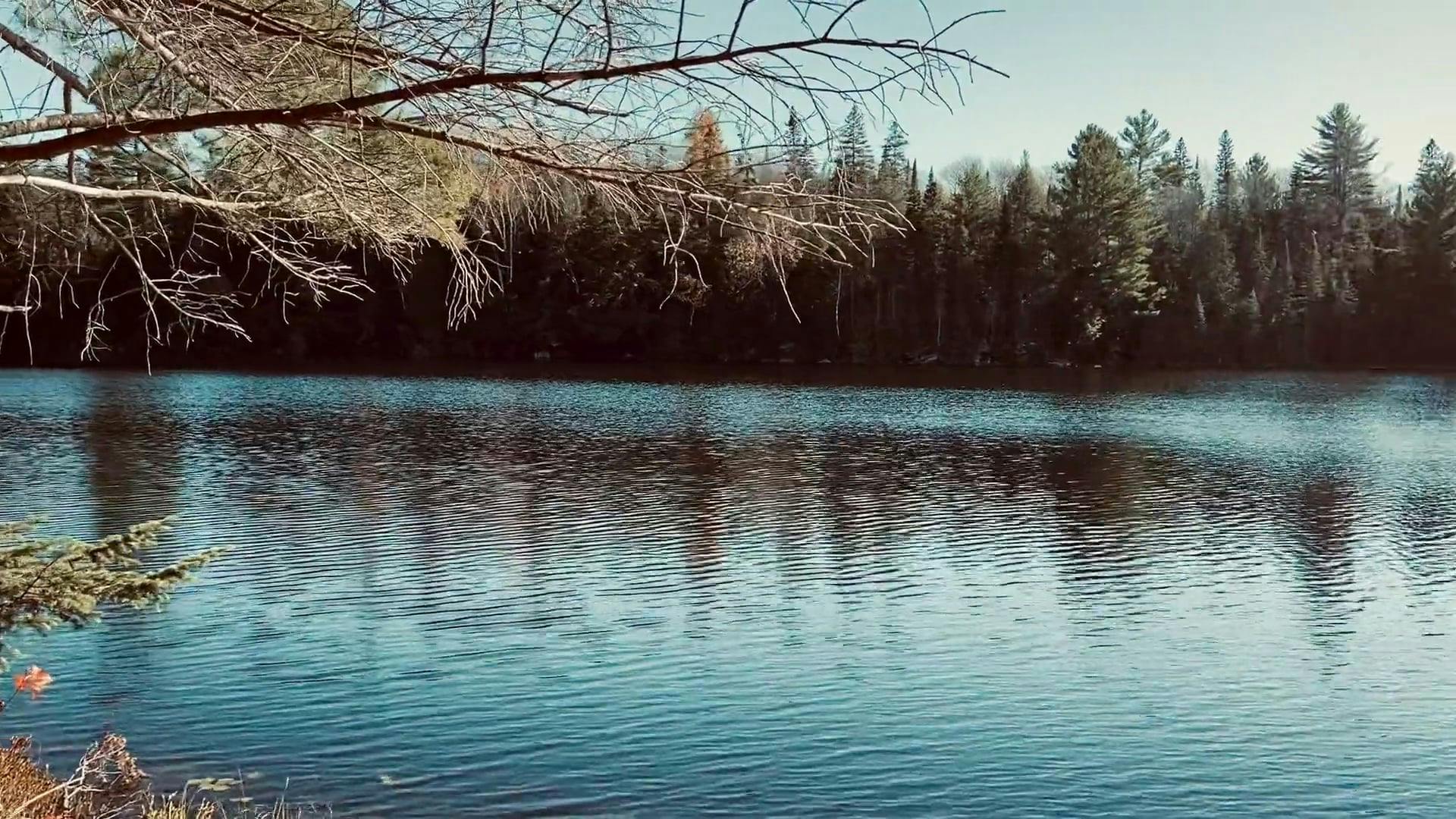 View of a Sparkling Blue Lake Free Stock Video Footage, Royalty-Free 4K ...