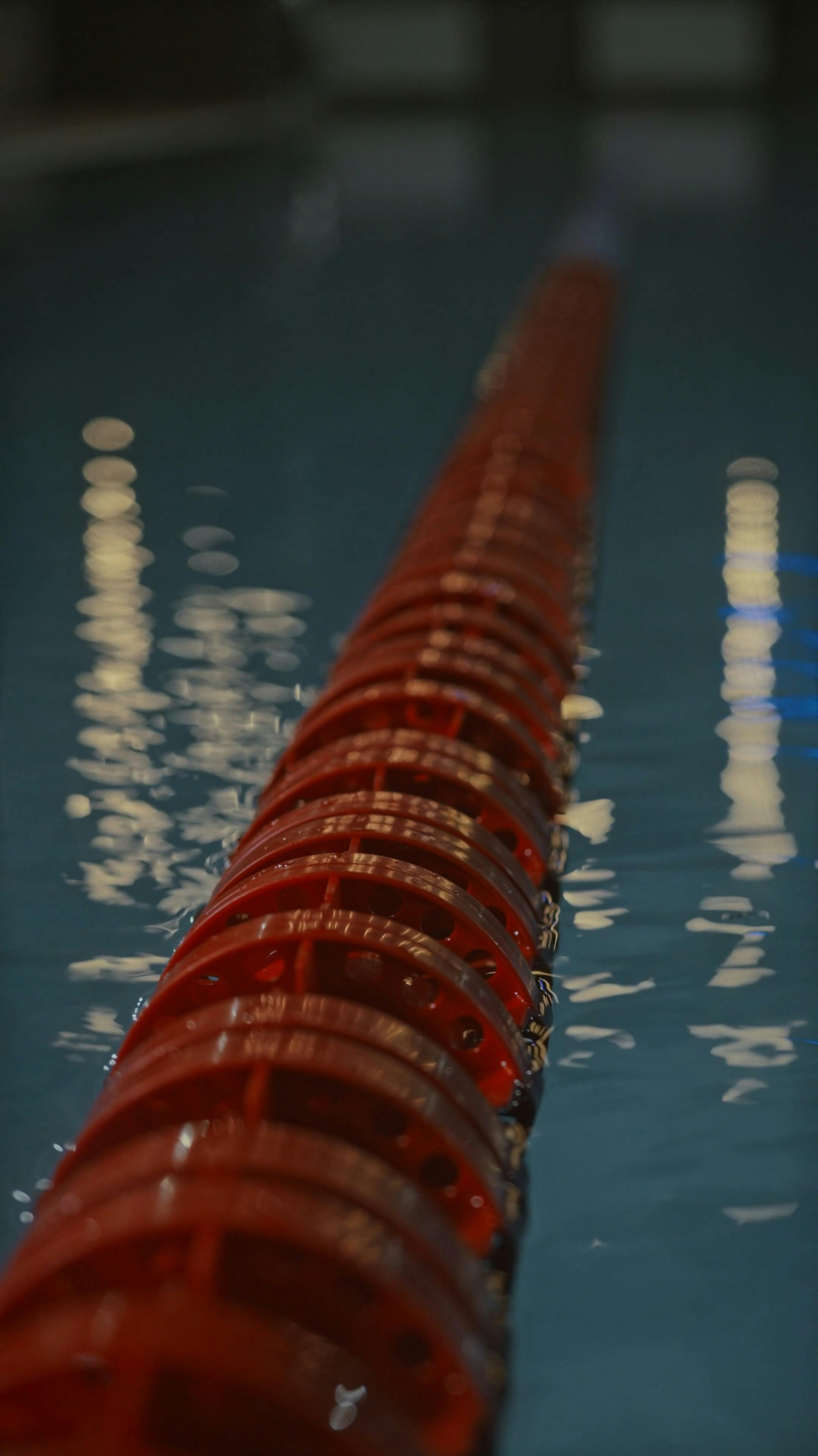 Float Lines In Pool Used For Lane Spacing Free Stock Video Footage ...
