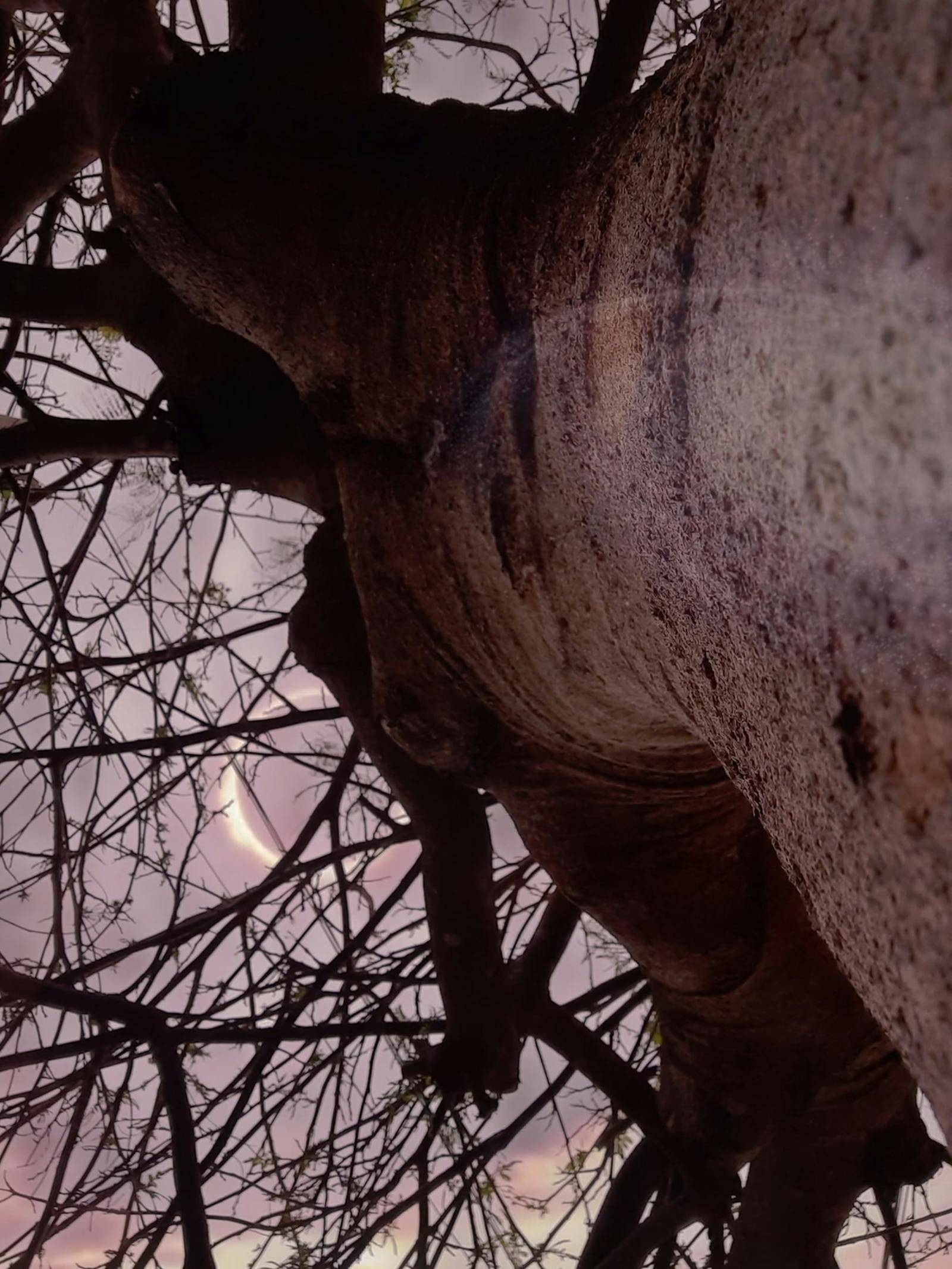 Solar Eclipse Videos, Download The BEST Free 4k Stock Video Footage ...