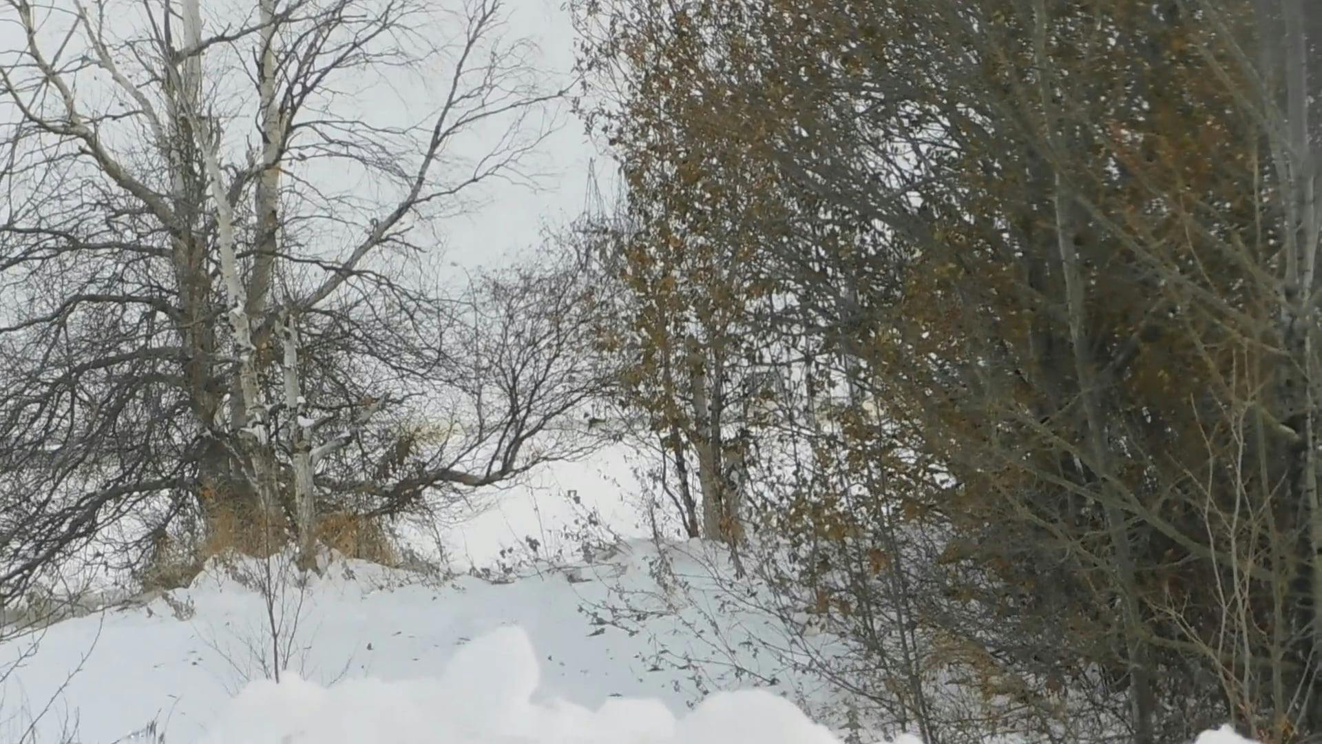 Aerial View Of Winter Landscape Free Stock Video Footage, Royalty-Free ...