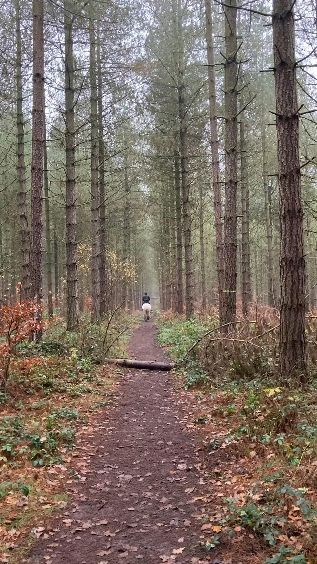 Alison Marsh - 写真