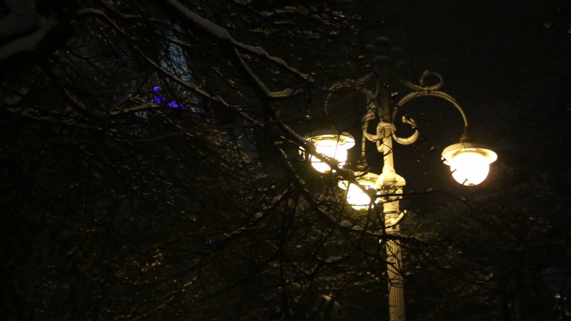 Snow Flakes Falling at Night Free Stock Video Footage, Royalty-Free 4K ...