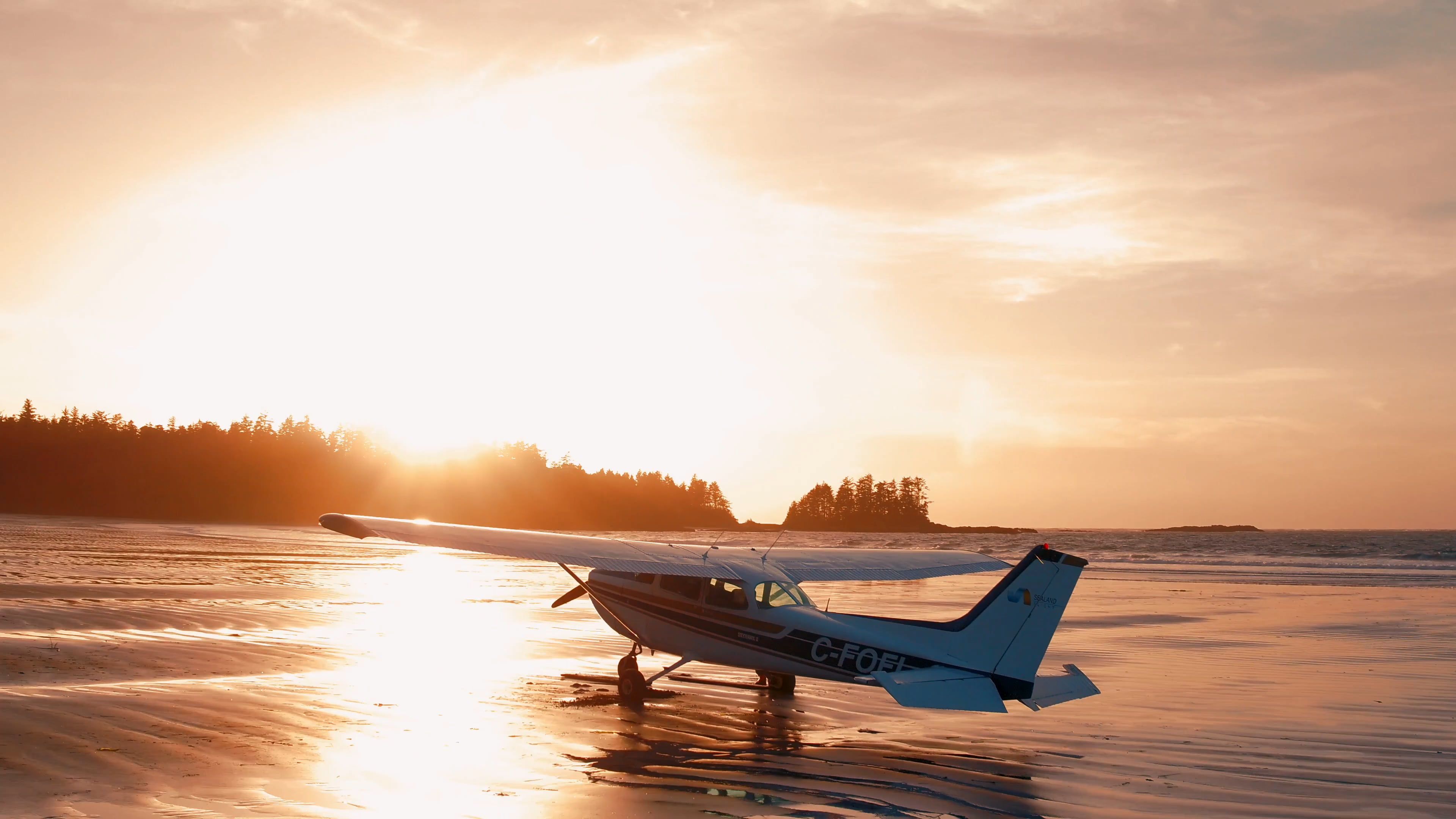 An Airplane in a Vast Wetland Free Stock Video Footage, Royalty-Free 4K ...