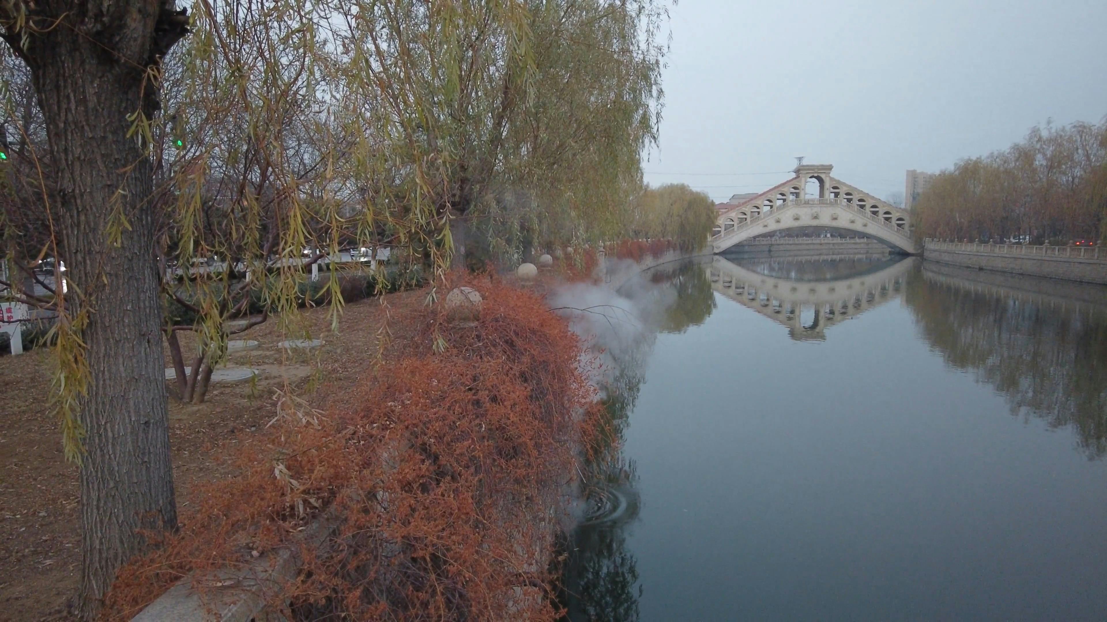 Autumn Willow Videos, Download The BEST Free 4k Stock Video Footage ...