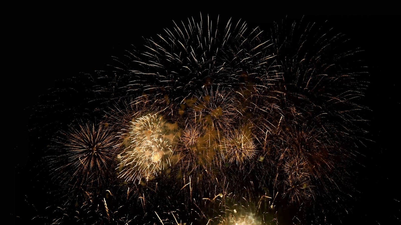 New Year Celebration Videos, Download The BEST Free 4k Stock Video ...