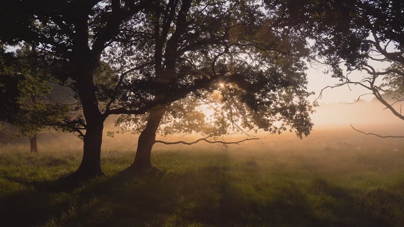 1,963+ Best Free Sunrise 4K Stock Video Footage & Royalty-Free HD Video ...