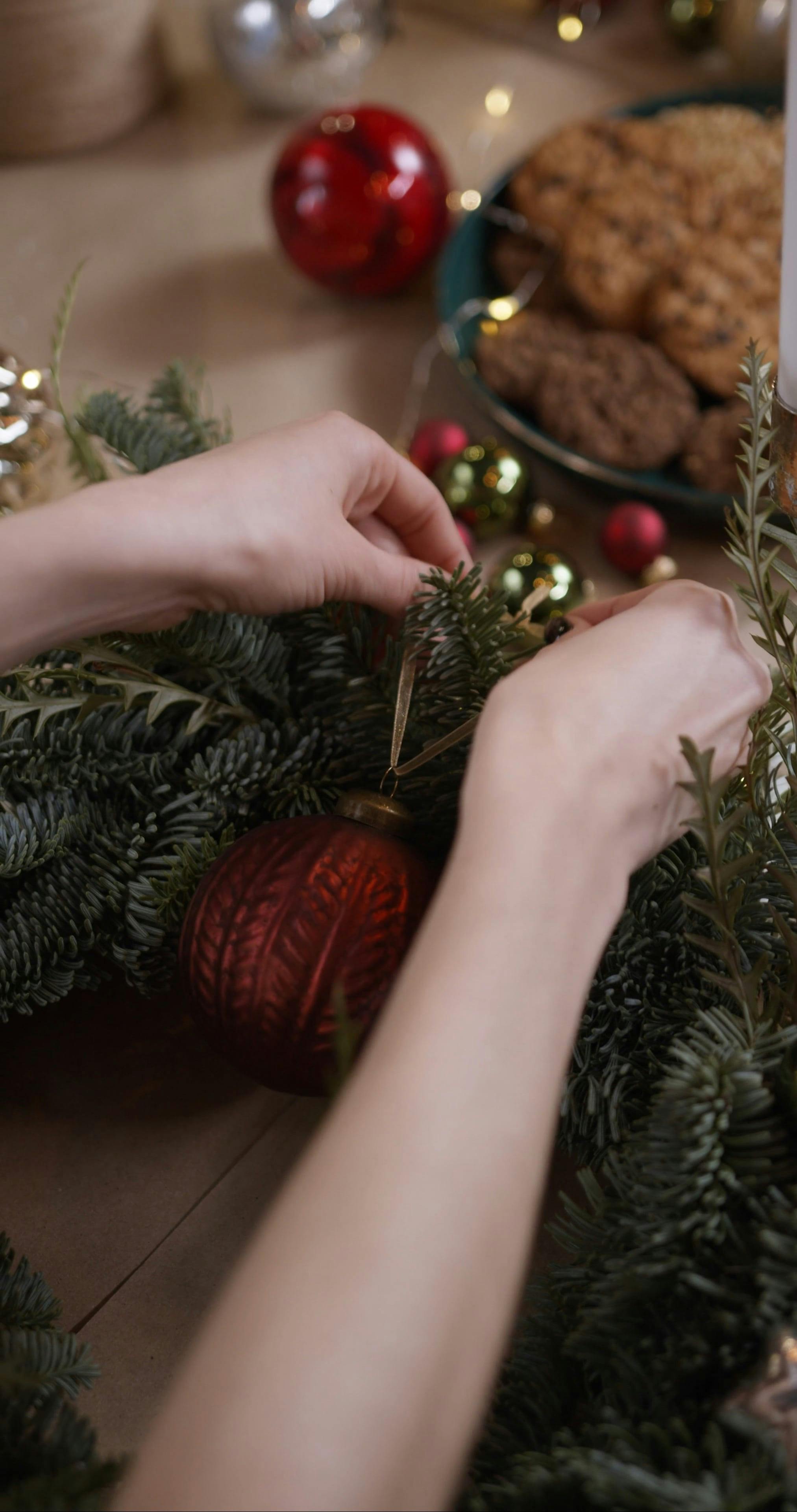 Pine Gun Videos, Download The BEST Free 4k Stock Video Footage & Pine ...