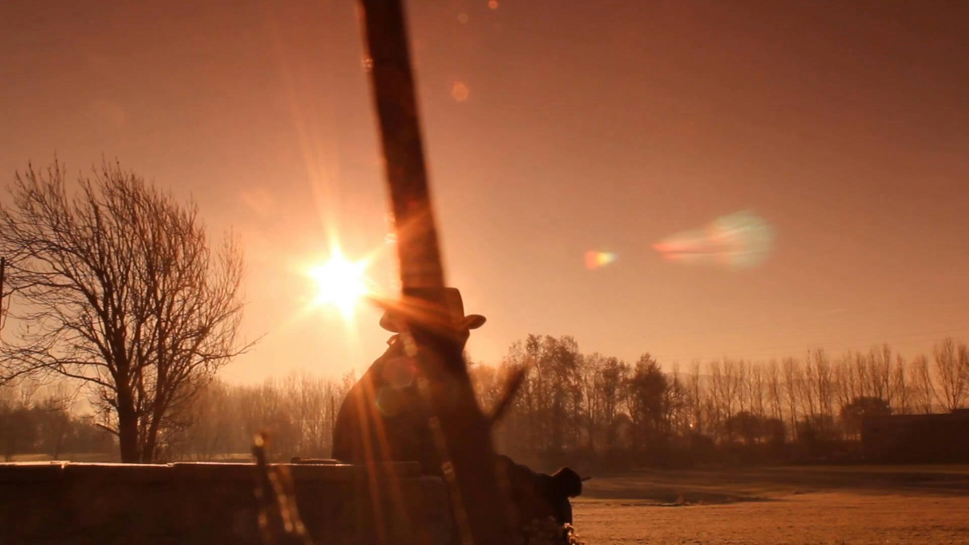 300+ Best Cowboy Videos · 100% Free Download · Pexels Stock Videos