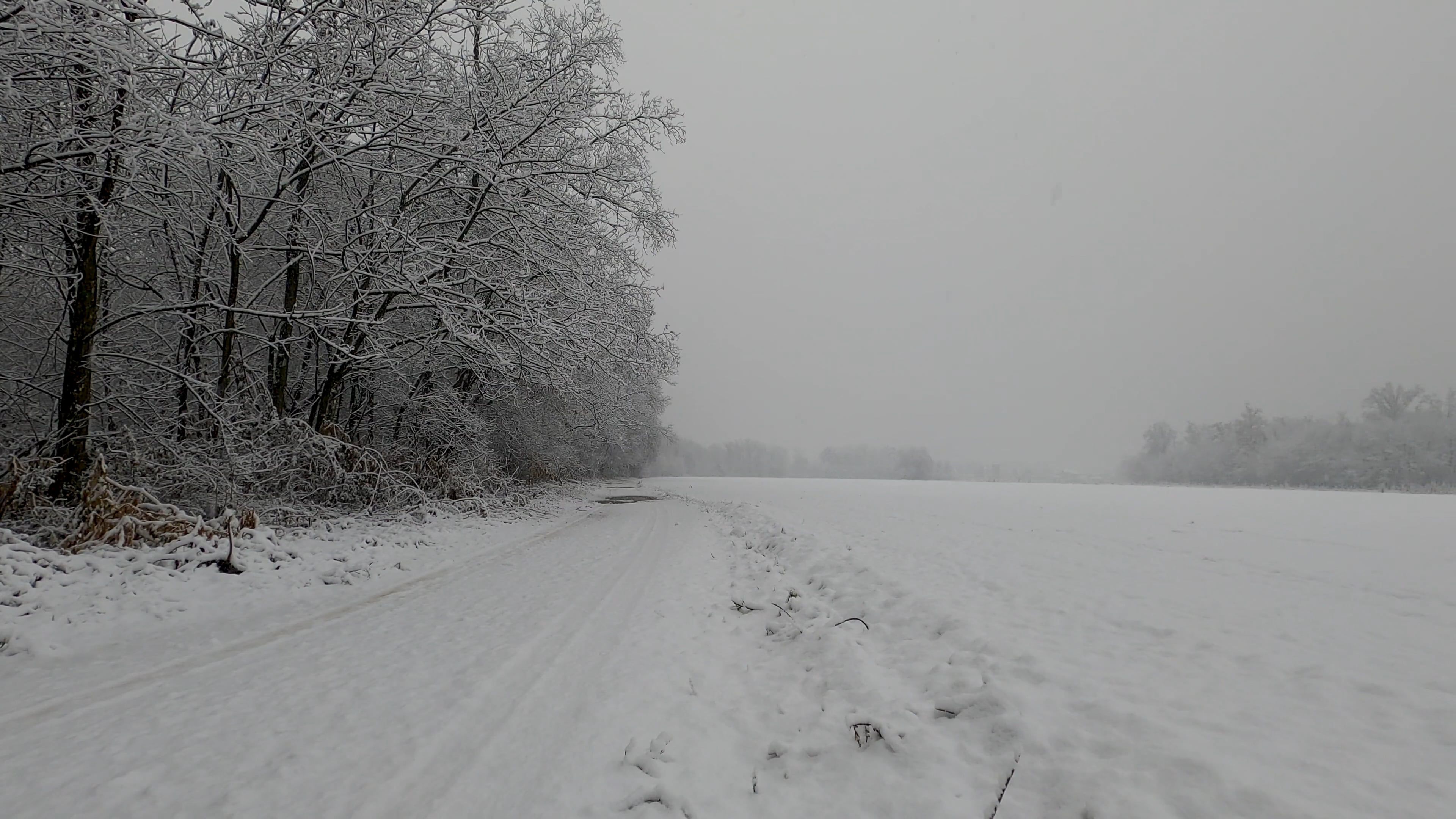 A Dense Snow Falling on the Ground Free Stock Video Footage, Royalty ...
