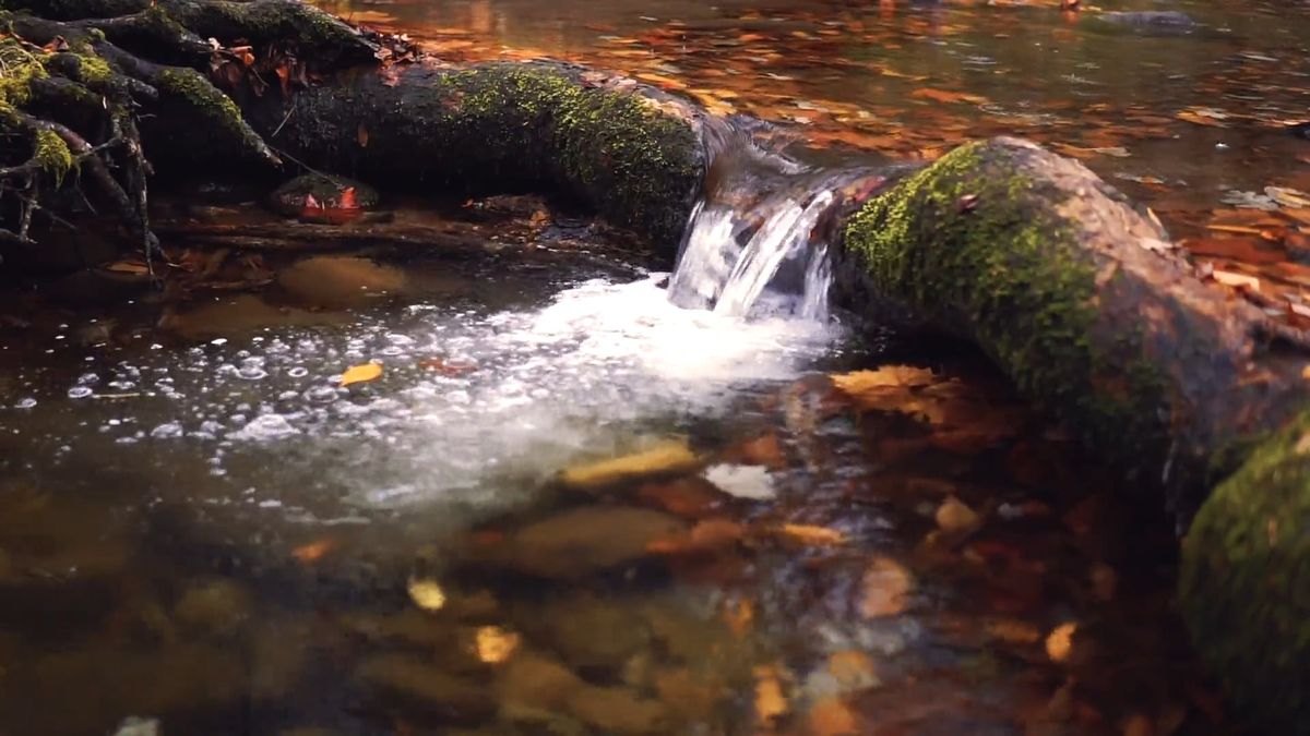 Brook Videos, Download The BEST Free 4k Stock Video Footage & Brook HD ...