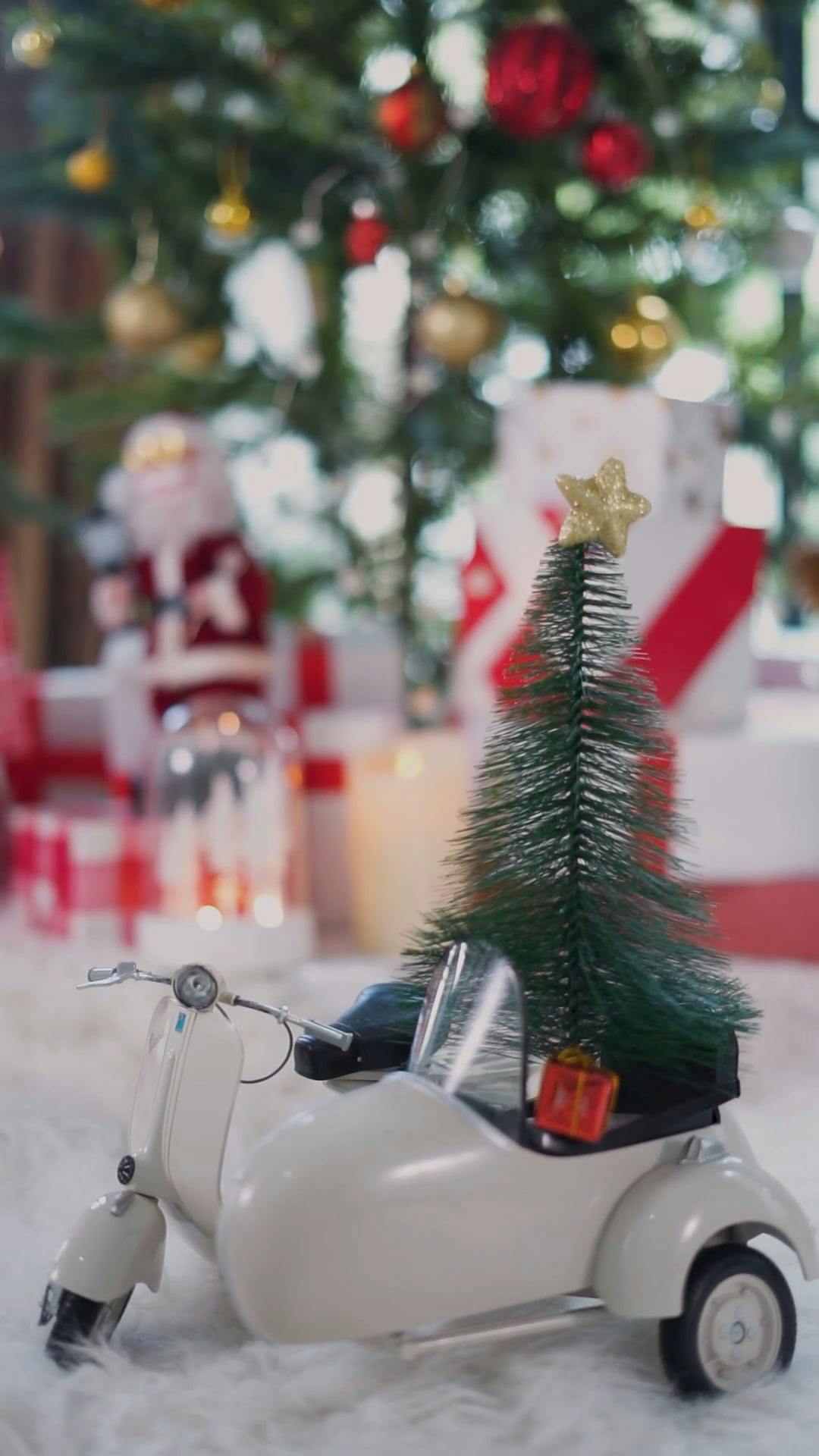 100,000+ Best Tree Images · 100% Free Download · Pexels Stock Photos