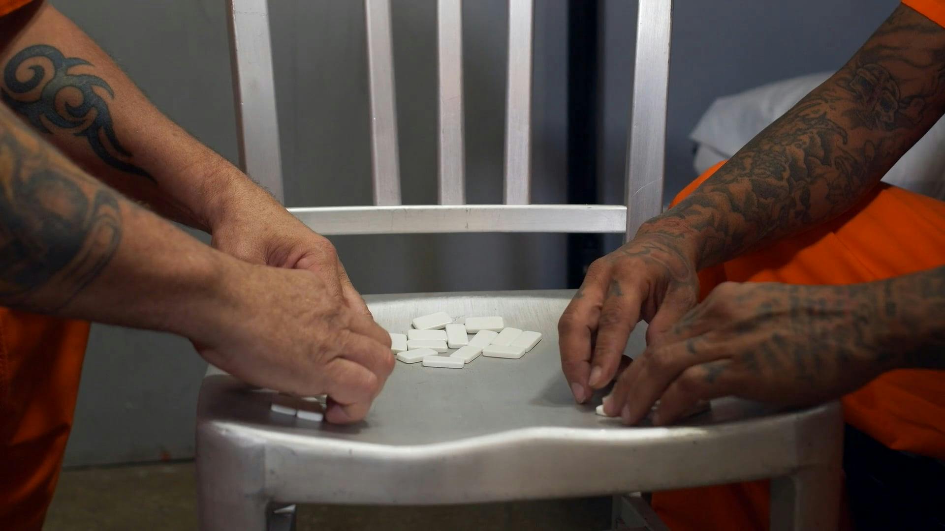 Tattooed Inmates Splitting White Pieces Free Stock Video Footage ...