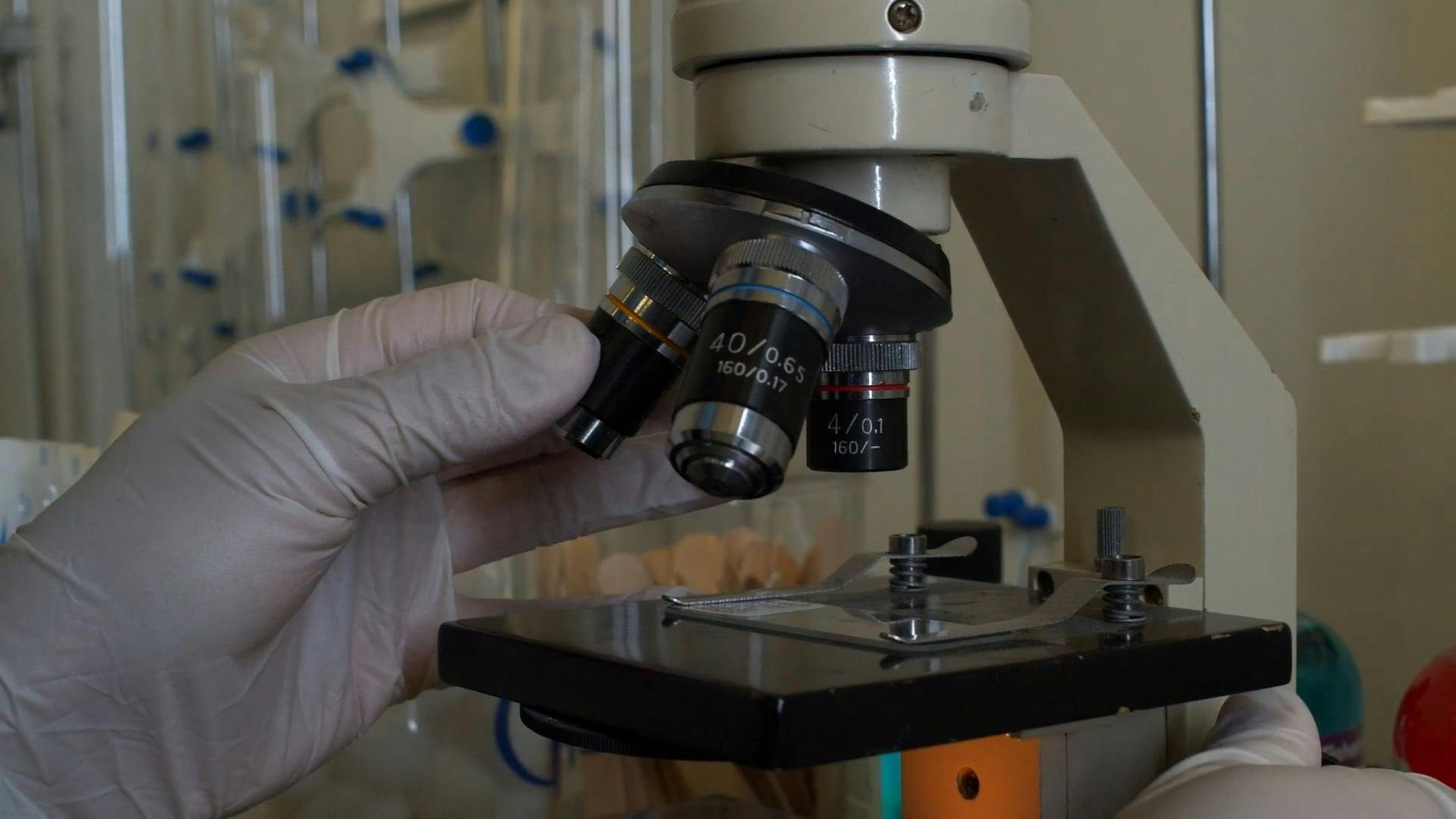 Person using Microscope · Free Stock Video