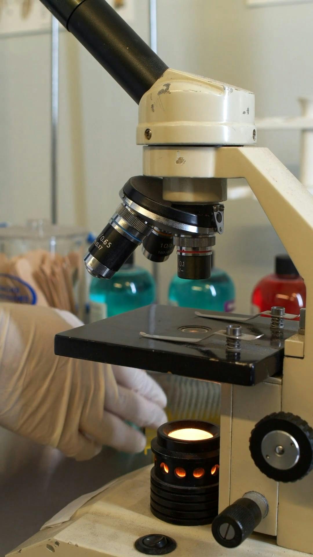 A Person Observing A Specimen Under A Microscope · Free Stock Video