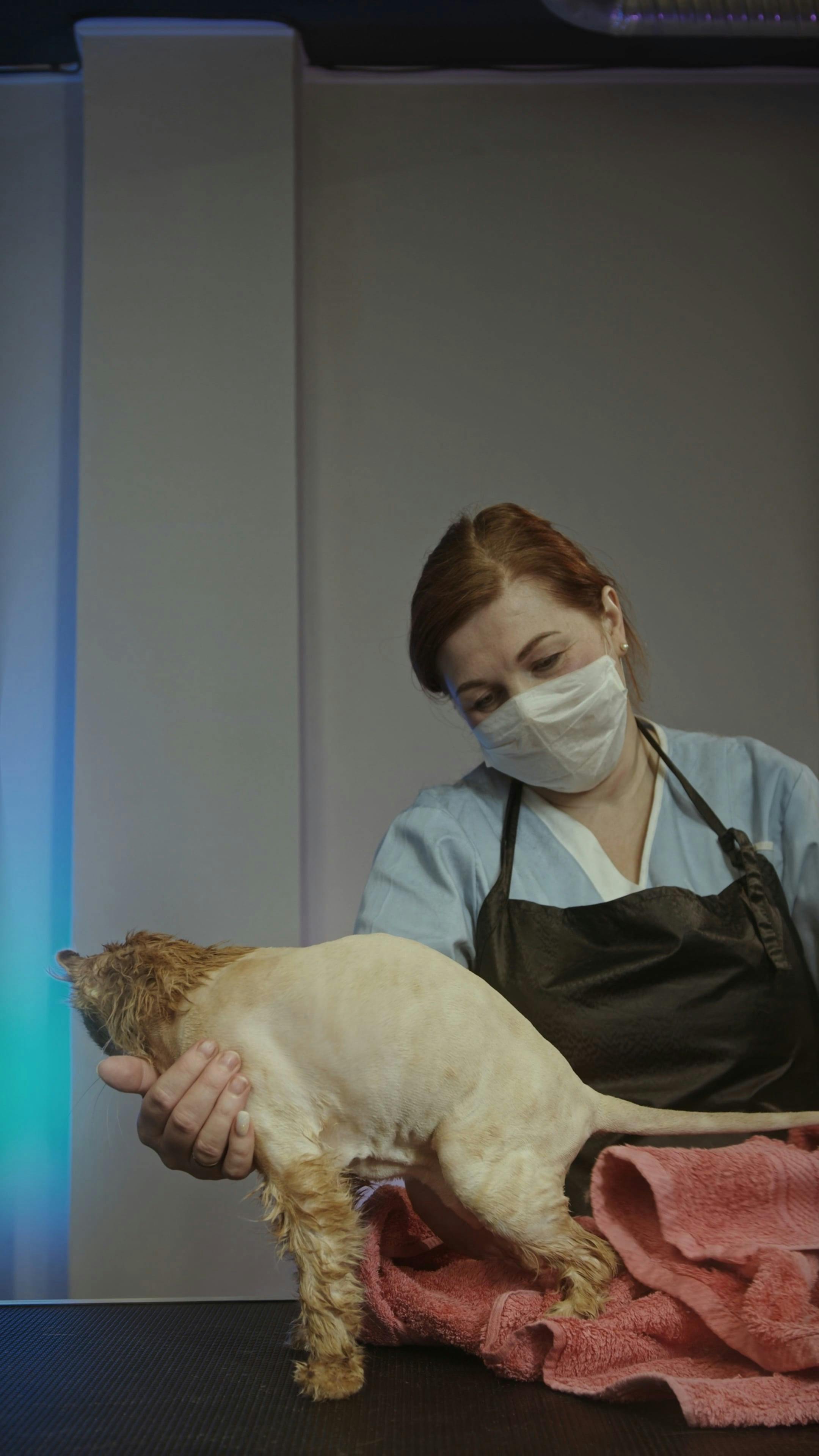 Client Animation Videos, Download The BEST Free 4k Stock Video Footage ...