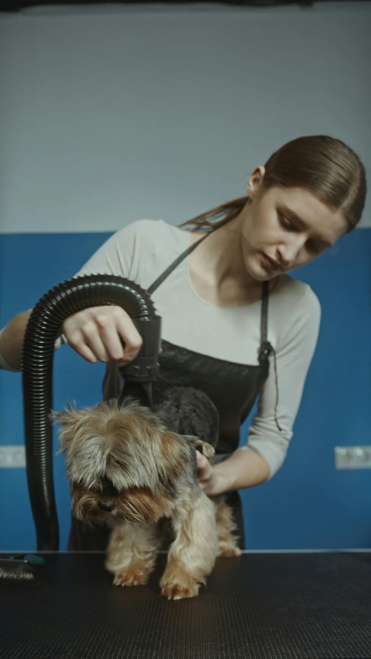 Woman With A Hairy Fanny Videos, Download The BEST Free 4k Stock Video ...