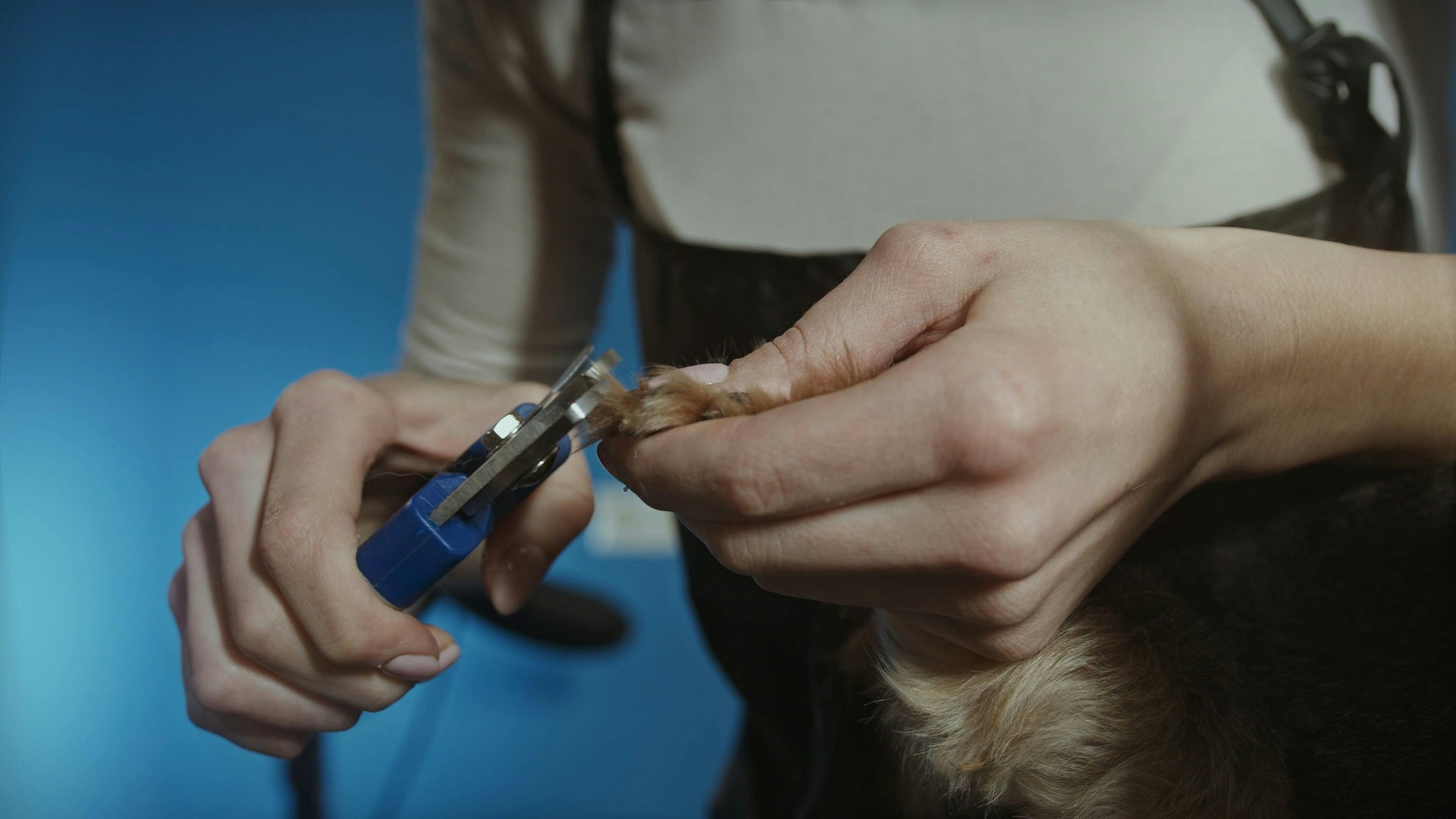 Client Animation Videos, Download The BEST Free 4k Stock Video Footage ...