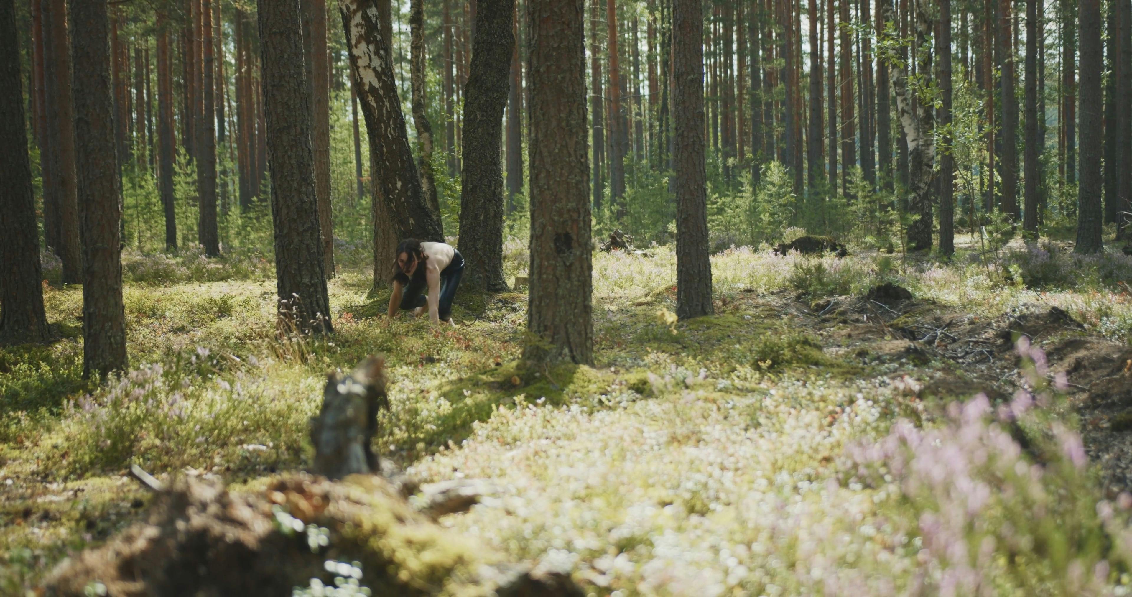 An Elf in Leather Pants Crawling through the Woods Free Stock Video ...