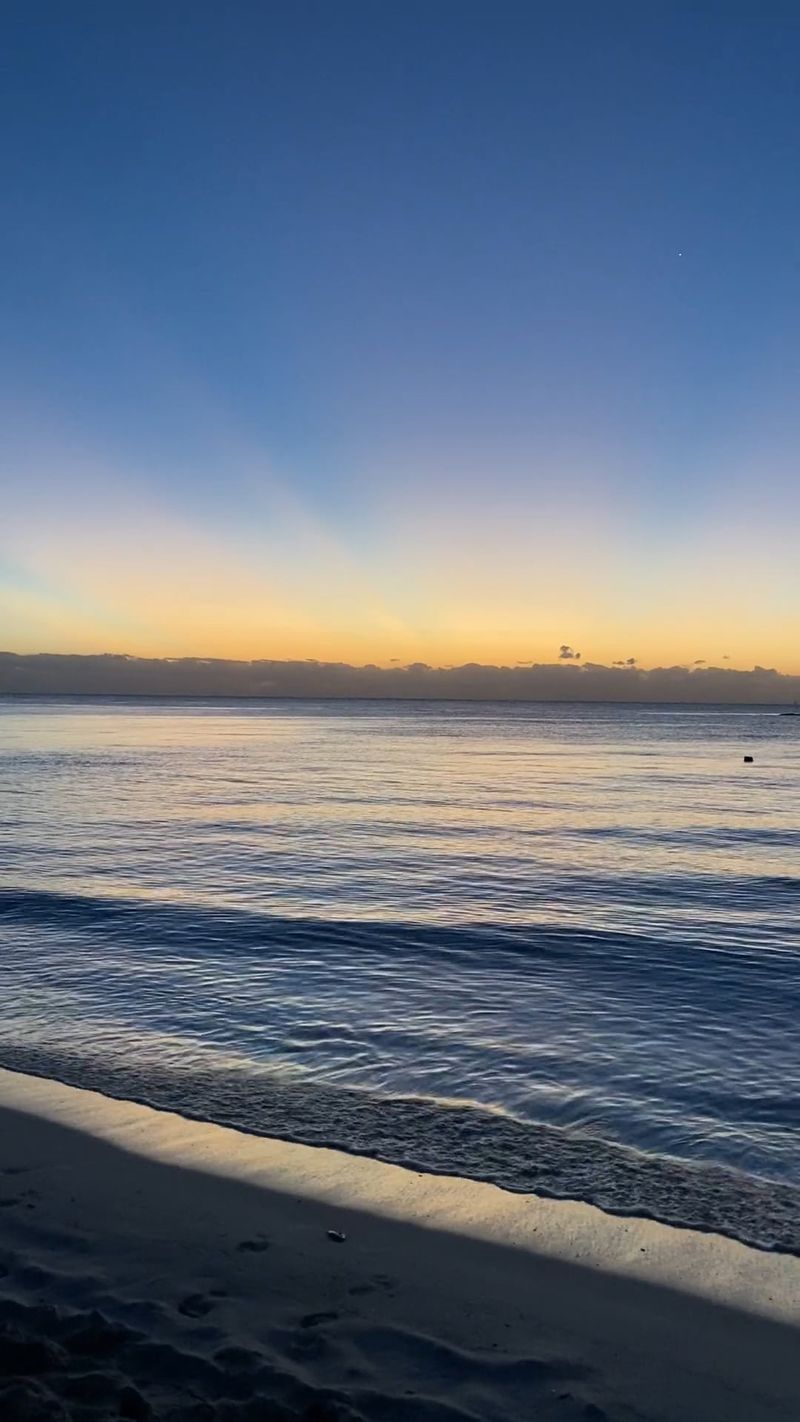 Beautiful Nature Videos, Download The BEST Free 4k Stock Video Footage ...