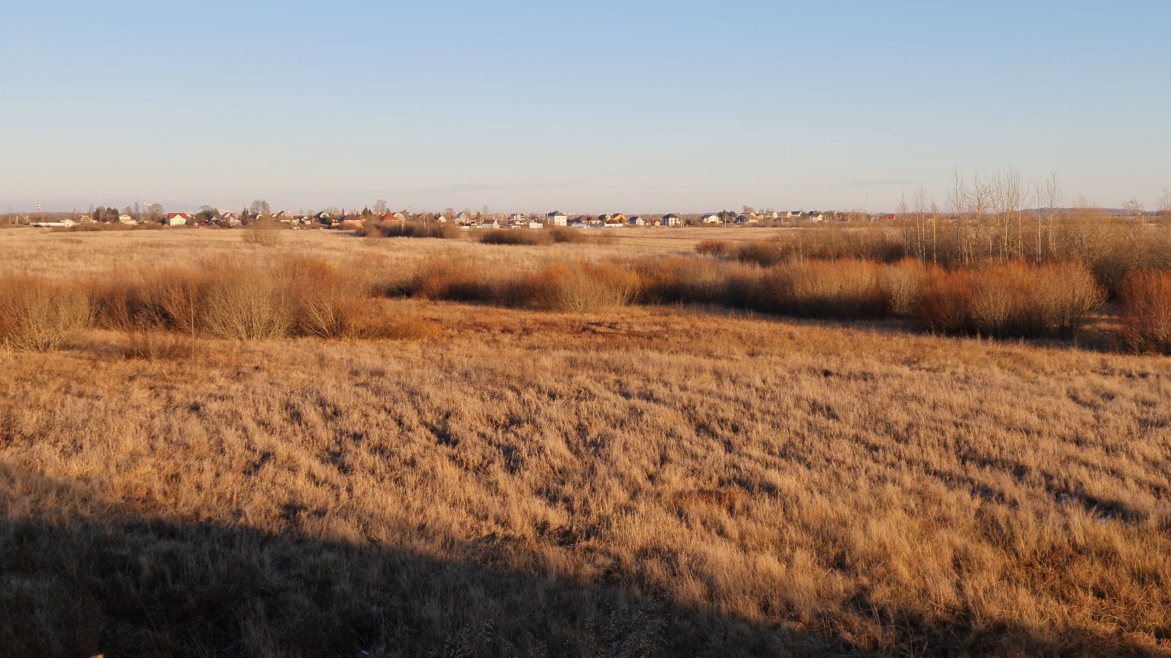 a Video of Dried Bushes Free Stock Video Footage, Royalty-Free 4K & HD ...