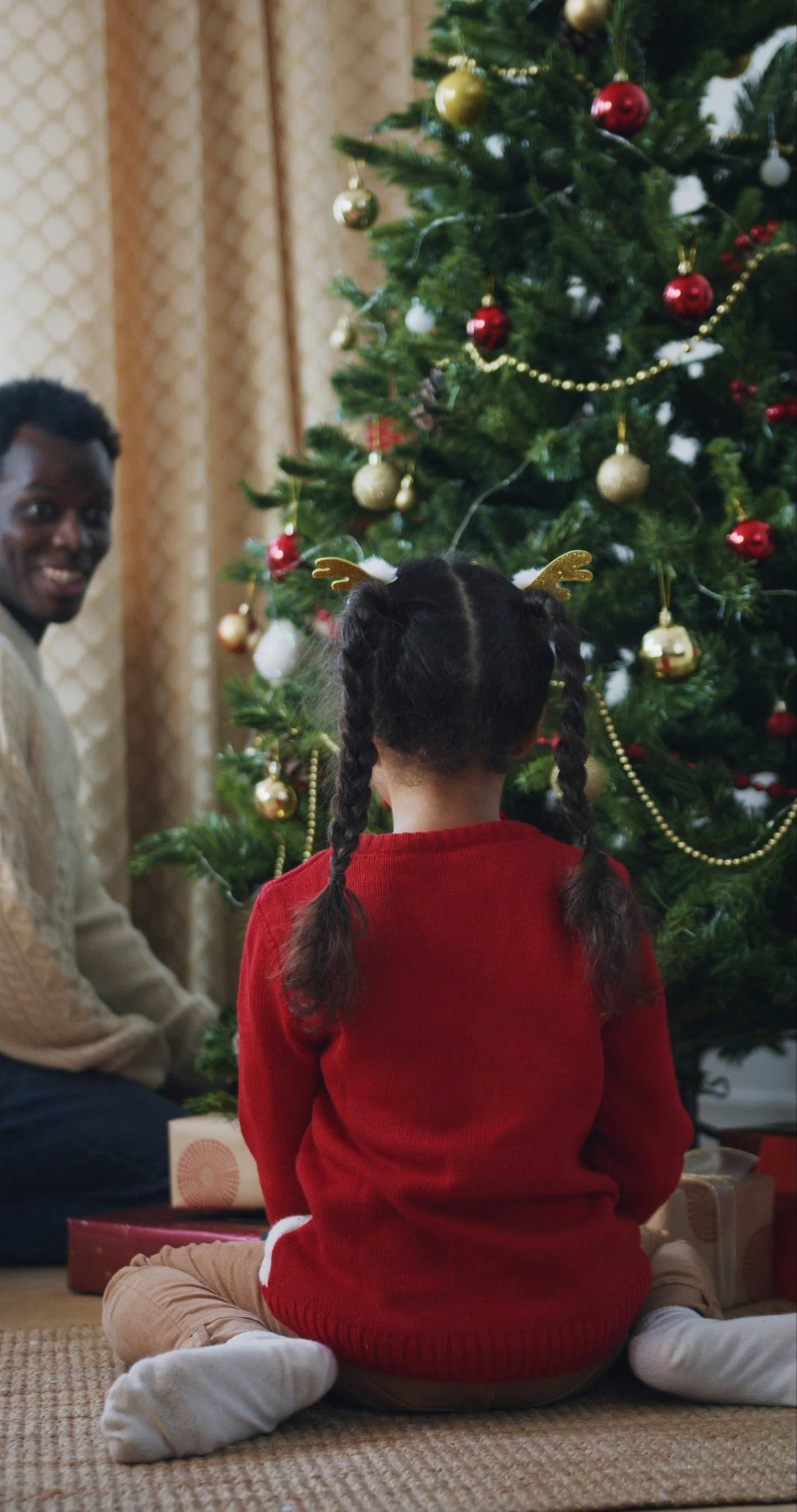 Countdown To The Christmas Tree Lighting Videos, Download The BEST Free ...