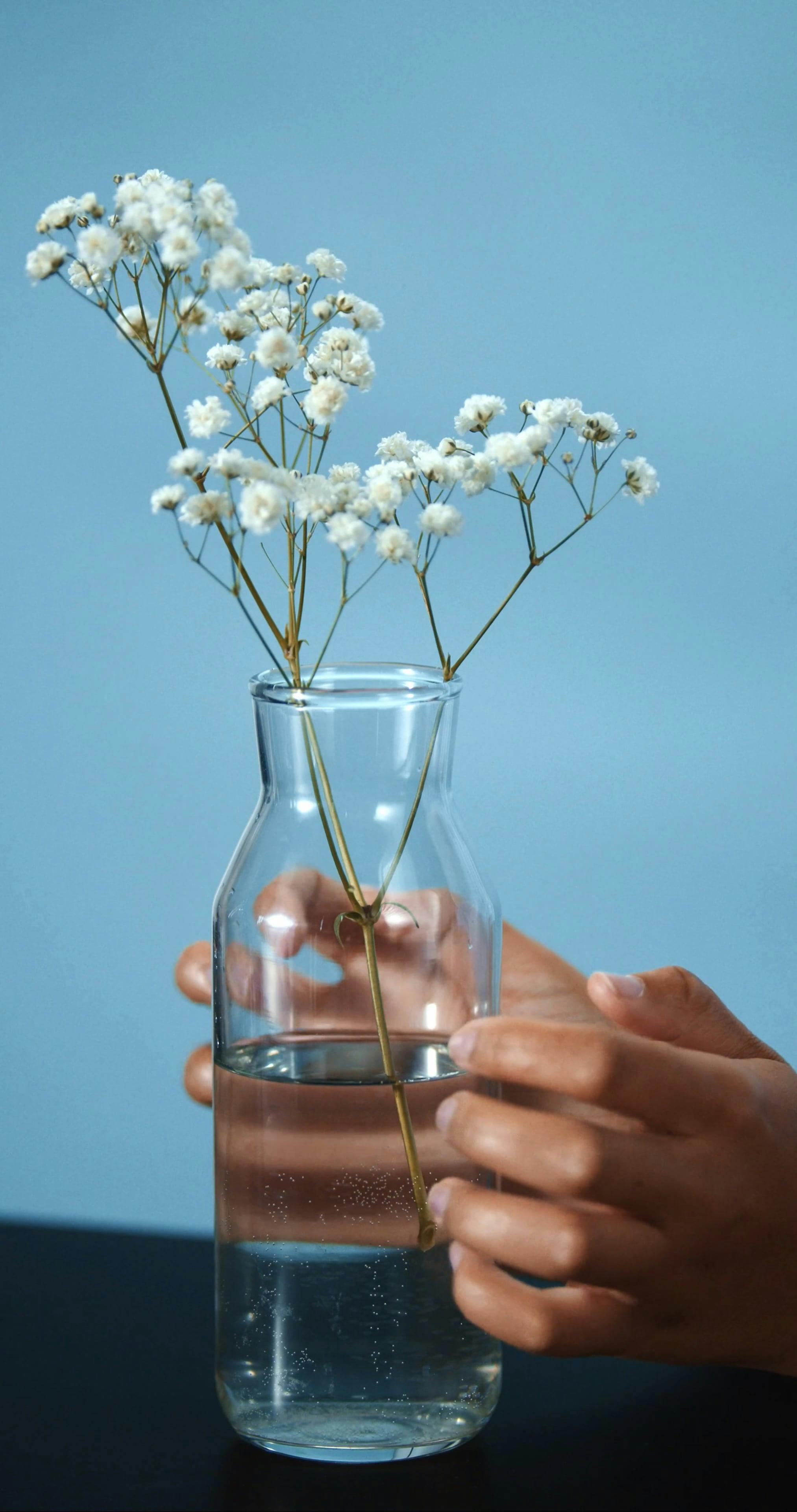 Person Tapping a Flower Vase · Free Stock Video