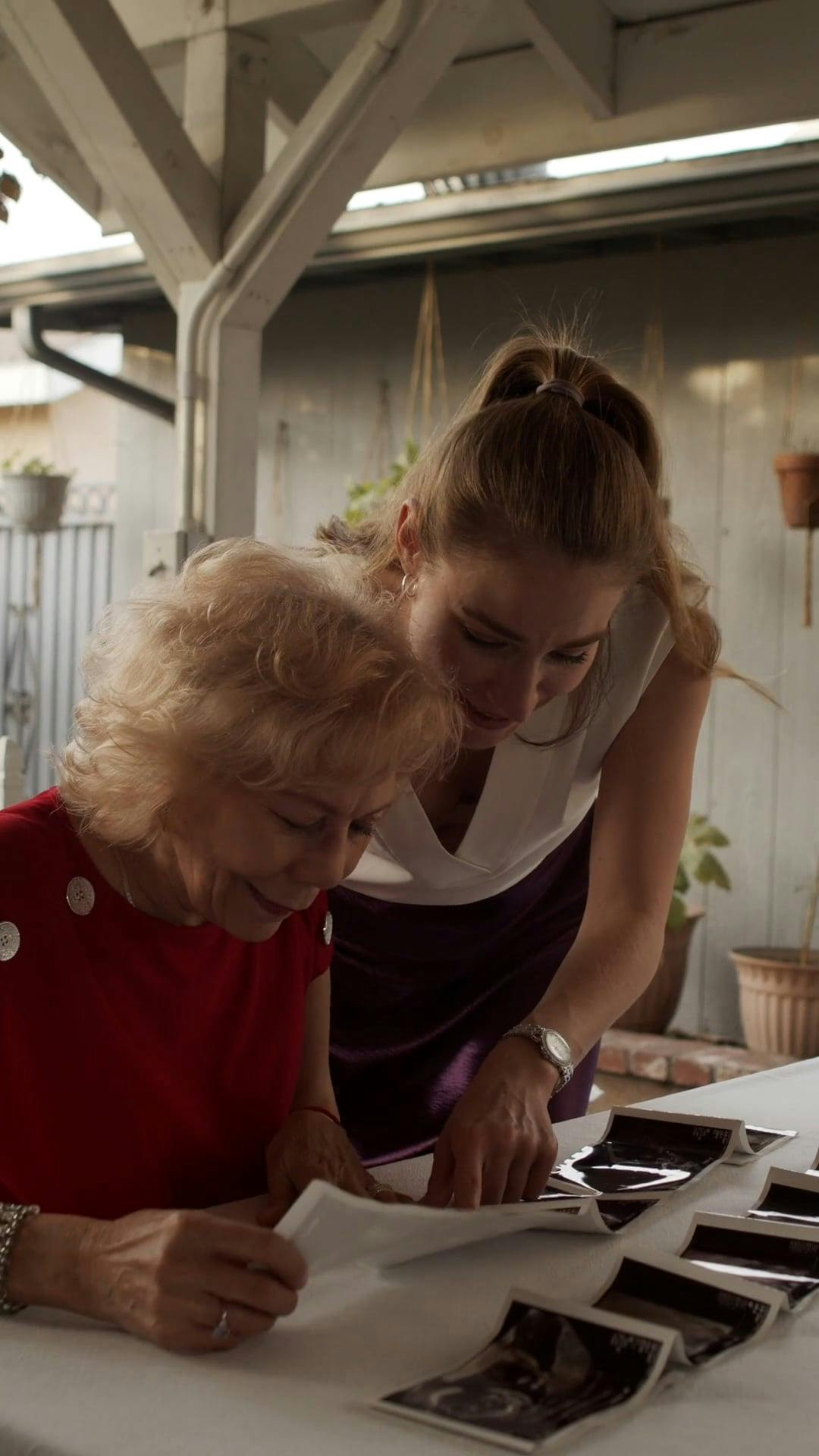 Photos Support Wallpaper Videos, Download The BEST Free 4k Stock Video ...