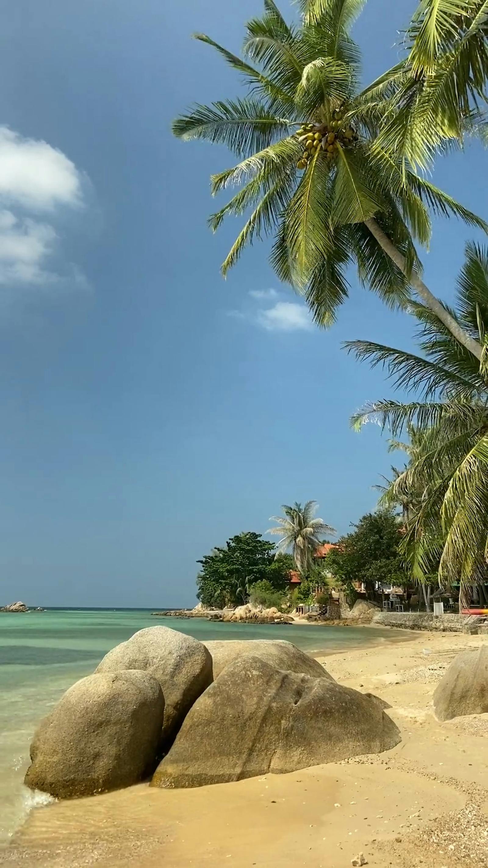 Coconut Oil Videos, Download The BEST Free 4k Stock Video Footage ...