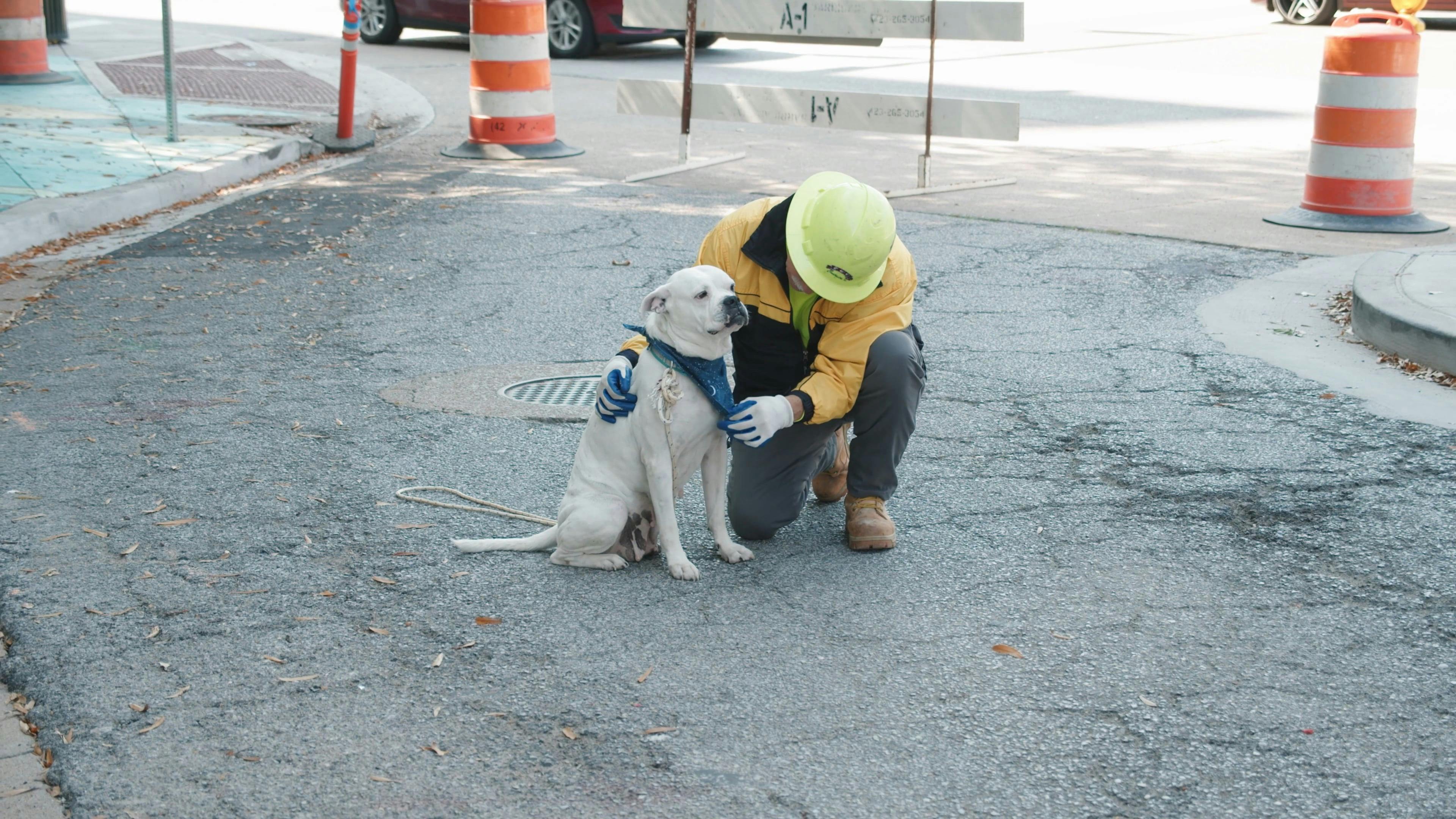 Animated Construction Worker Videos, Download The BEST Free 4k Stock ...