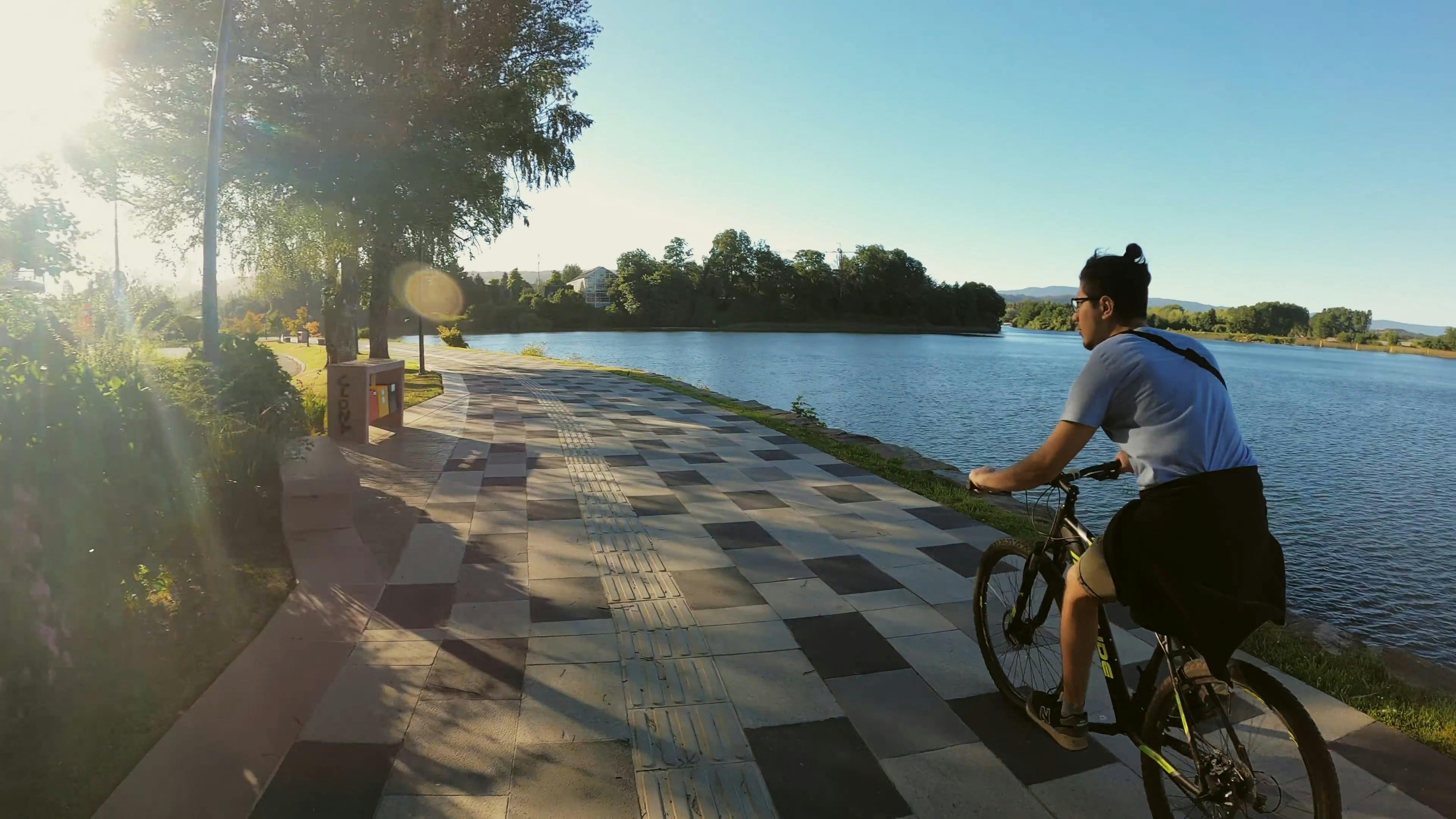 Woman Biking On The Street · Free Stock Video