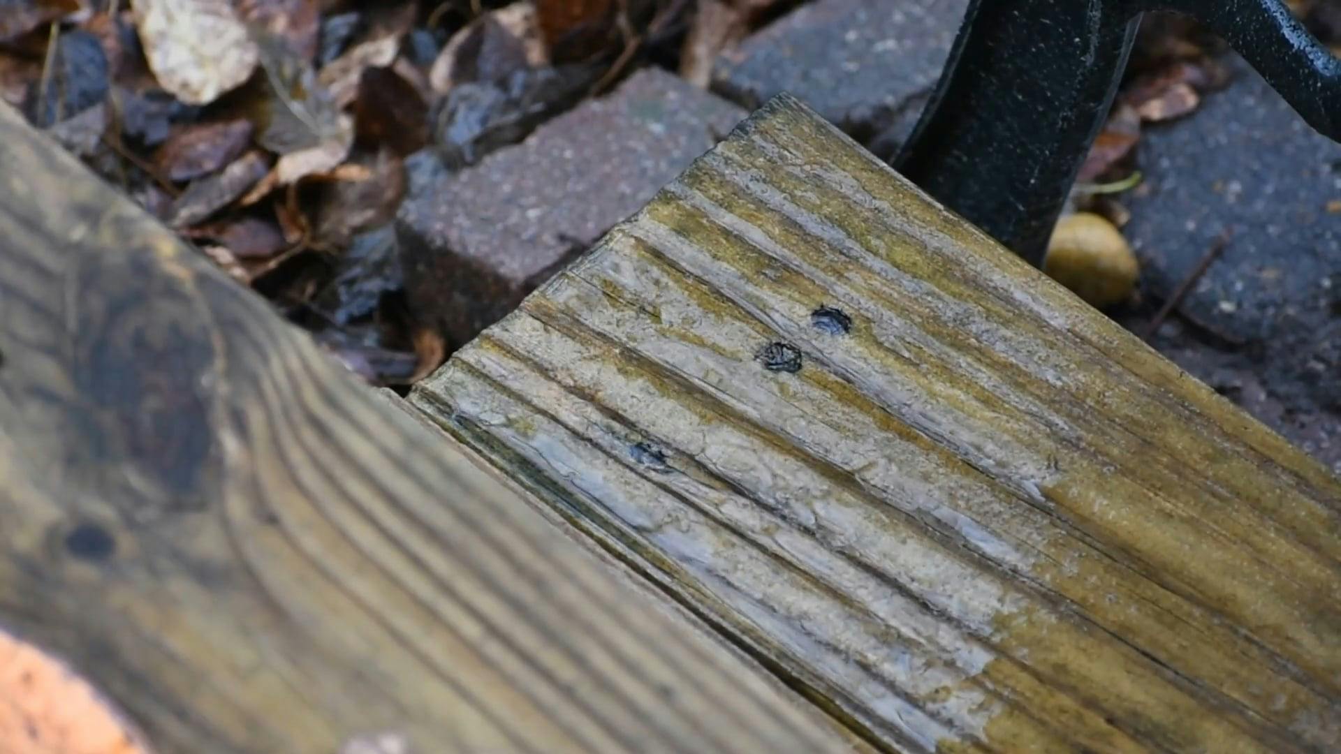 Rain Dripping Videos, Download The BEST Free 4k Stock Video Footage ...