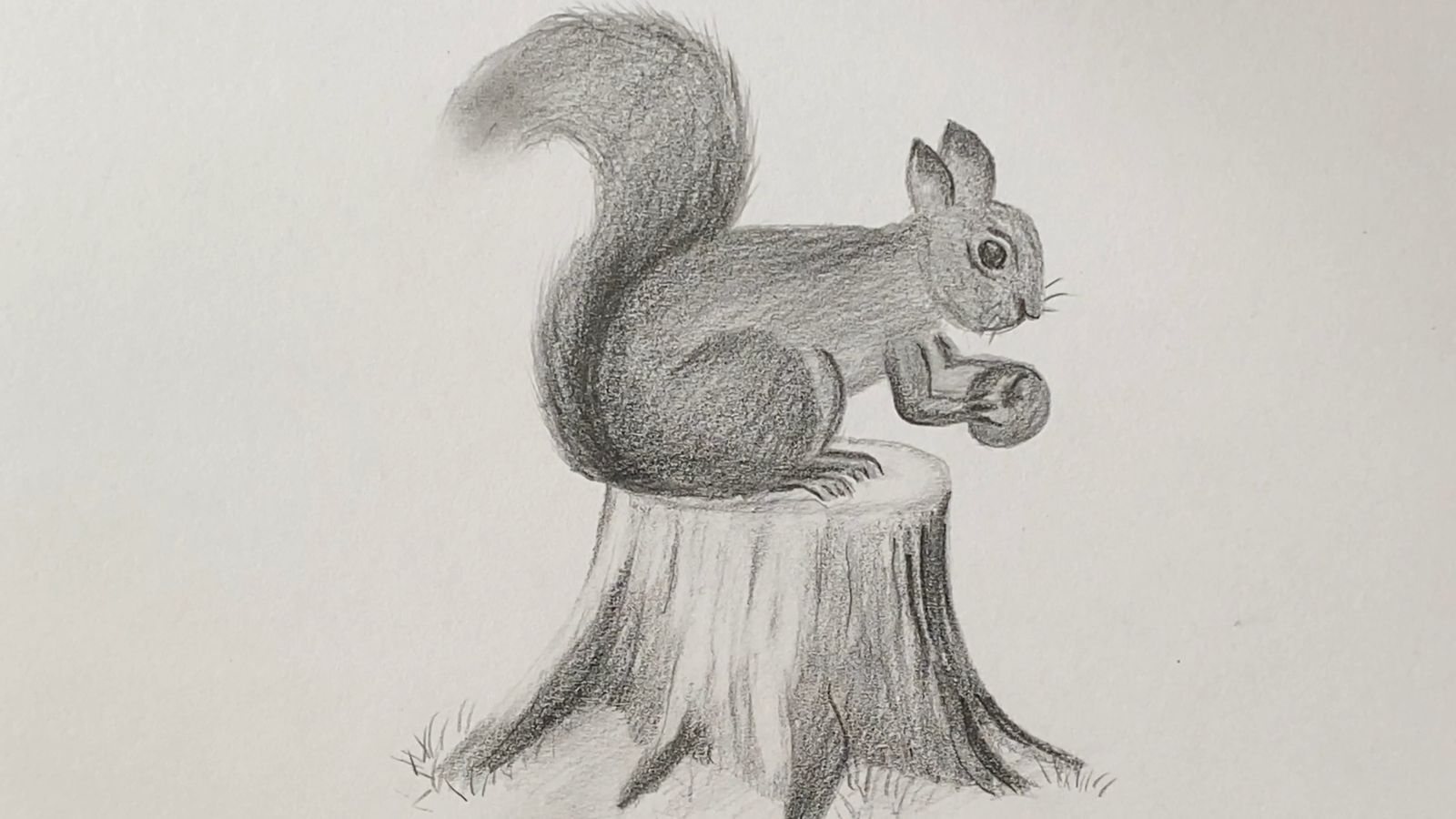 Graphite+Drawing+Animation Videos, Download The BEST Free 4k Stock ...