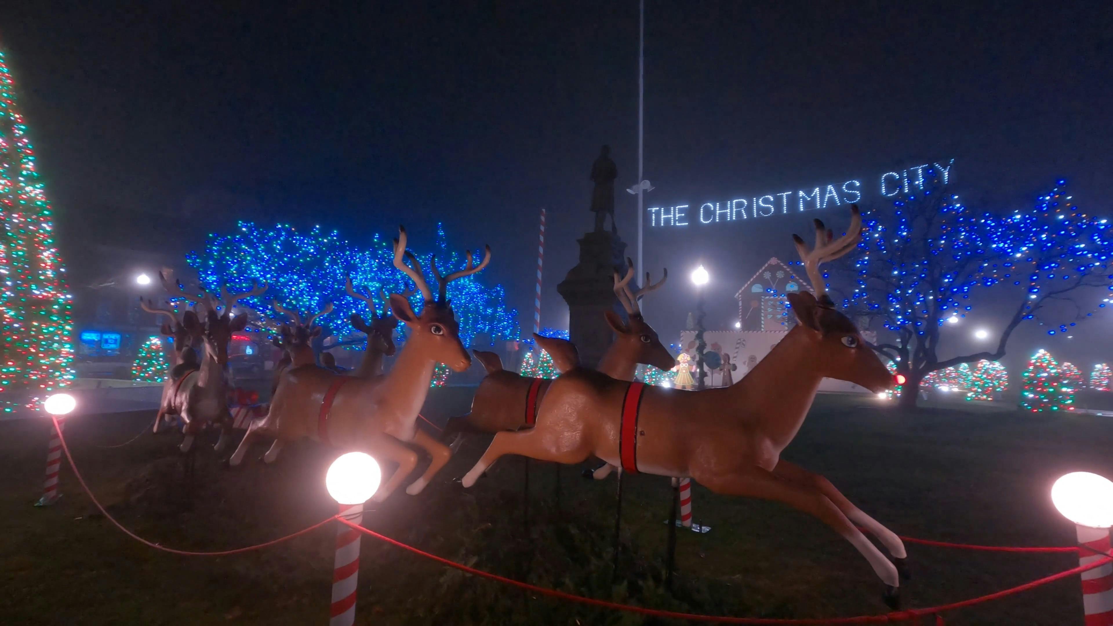 Reindeer Display Videos, Download The BEST Free 4k Stock Video Footage ...