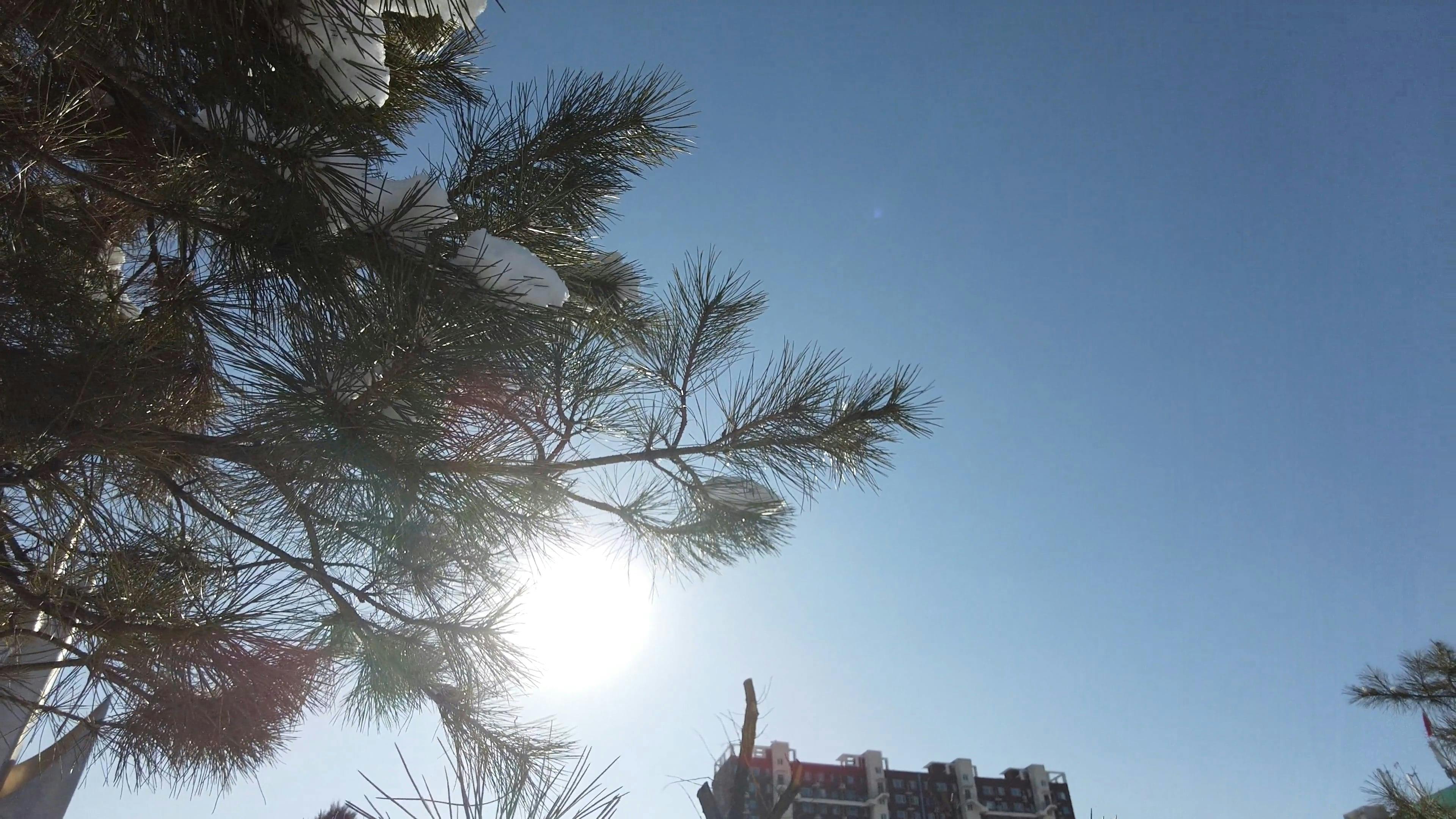 Noon Sunlight Videos, Download The BEST Free 4k Stock Video Footage ...