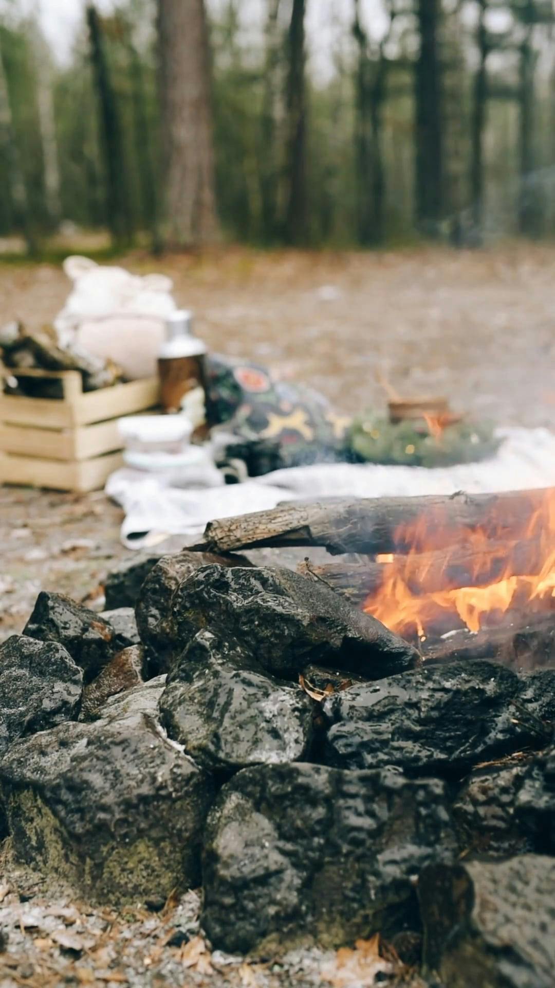 Burning Campfire in Camping Site · Free Stock Video