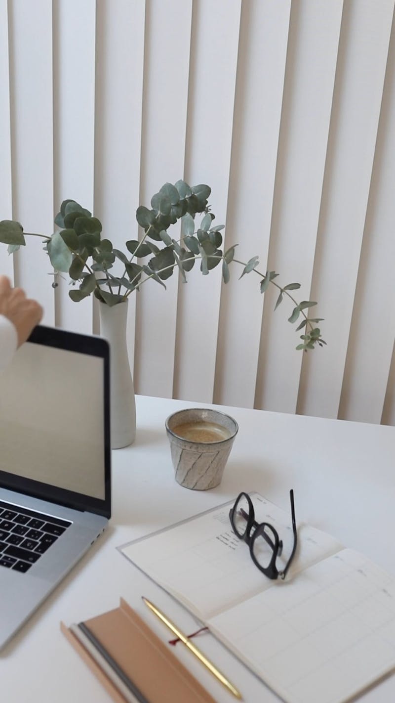 White Screen Videos, Download The BEST Free 4k Stock Video Footage ...