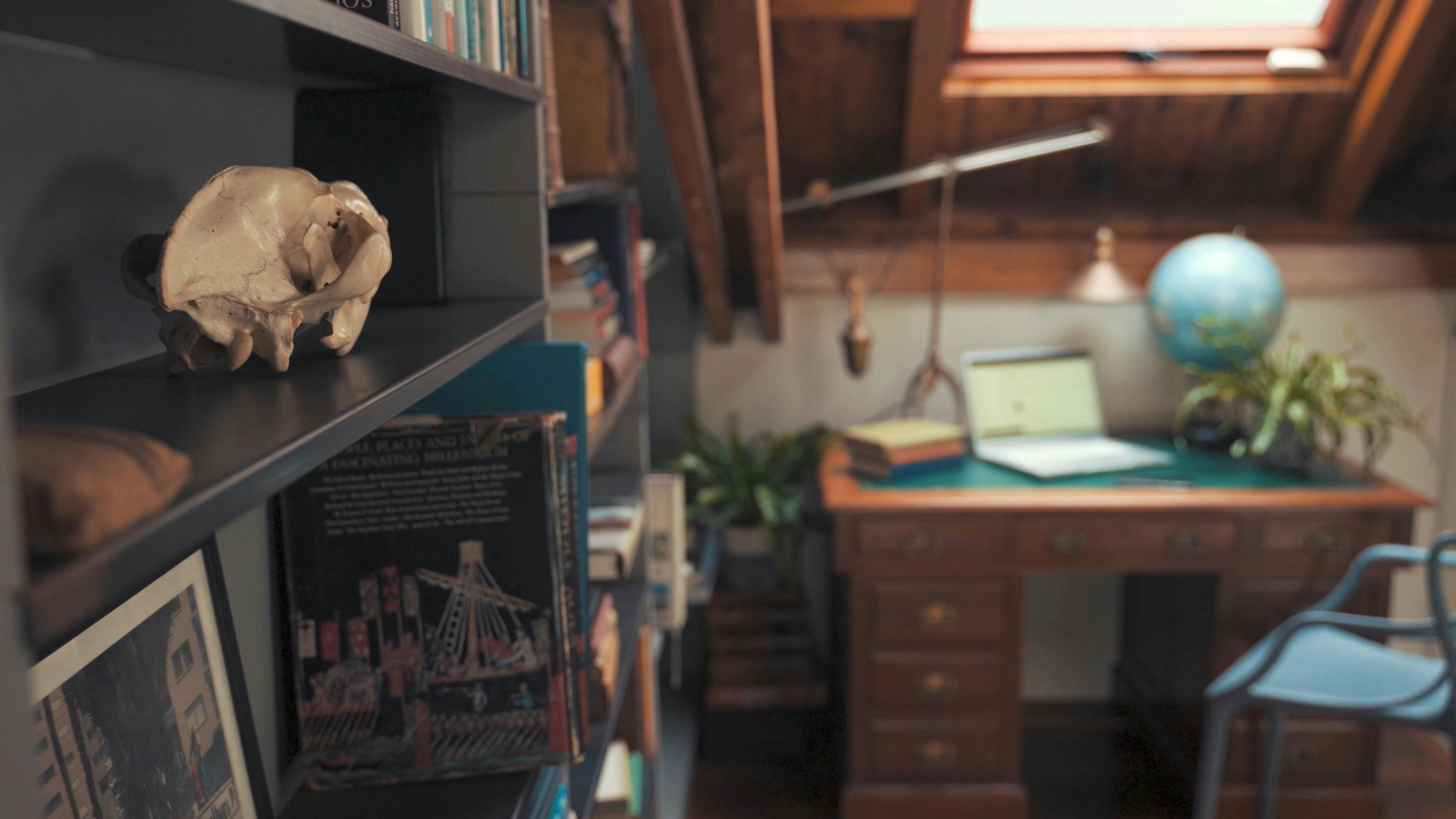 Attic Library Videos, Download The BEST Free 4k Stock Video Footage ...